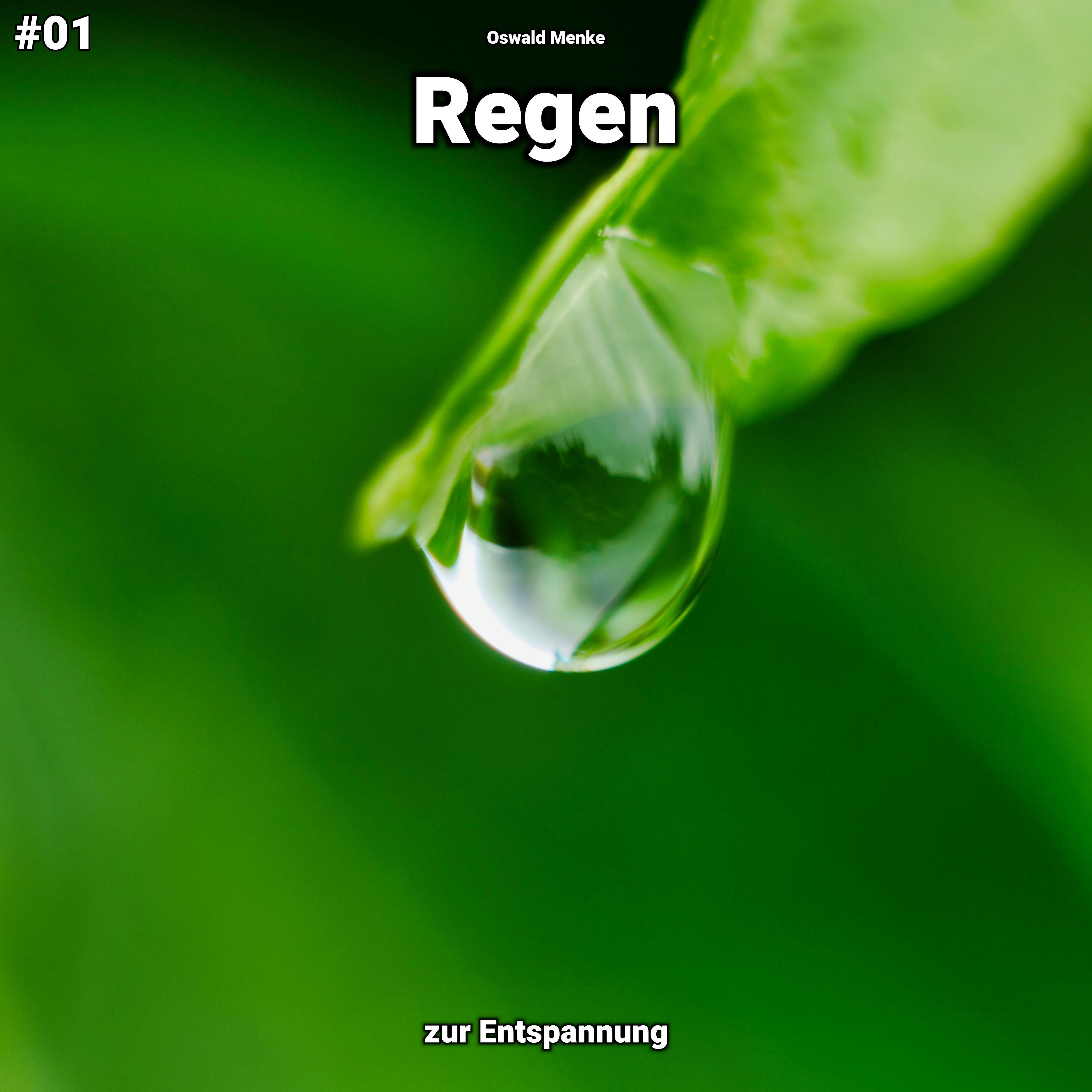 Regen, pt. 58 - Oswald Menke - 单曲 - 网易云音乐