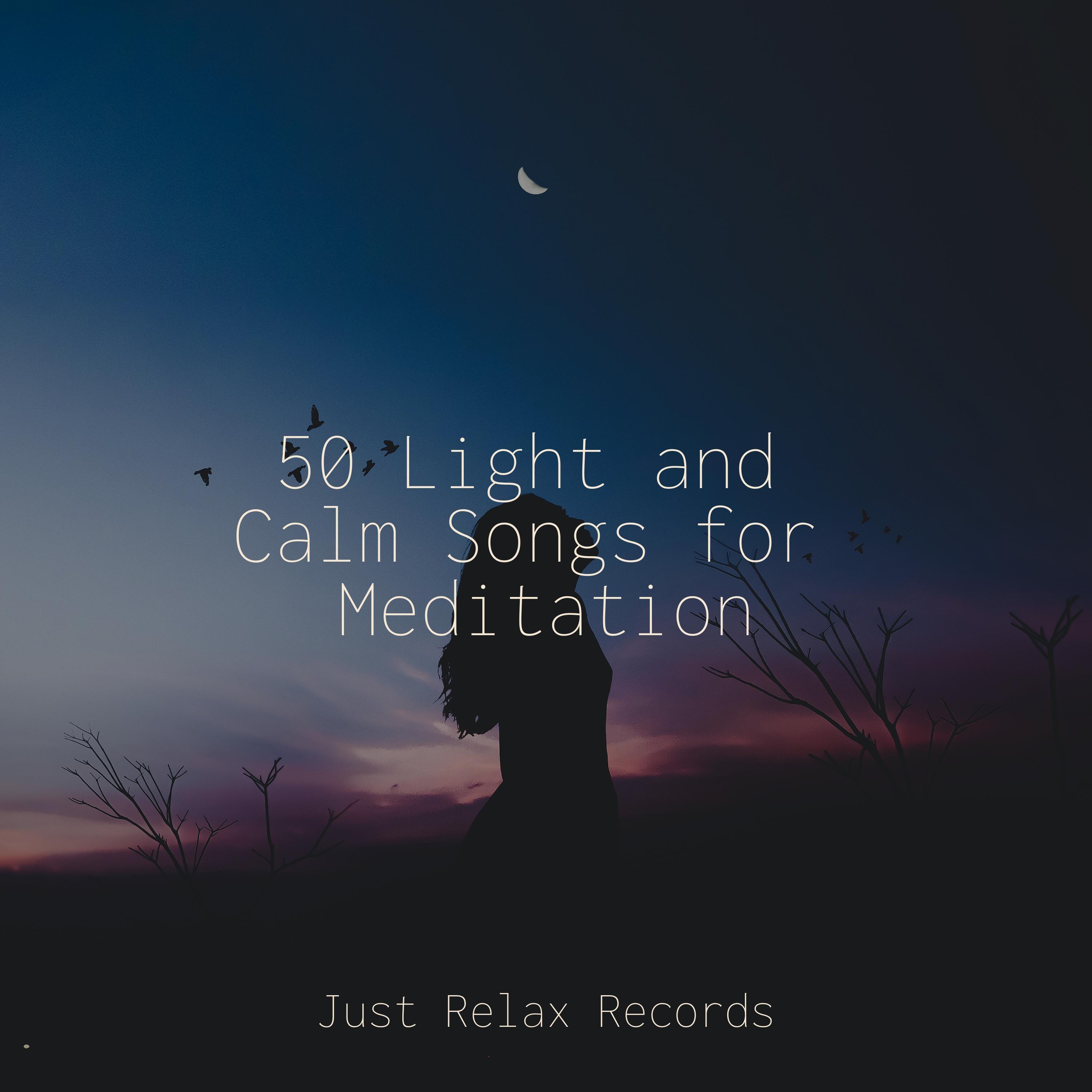 50 Light and Calm Songs for Meditation - Musica romantica instrumental ...