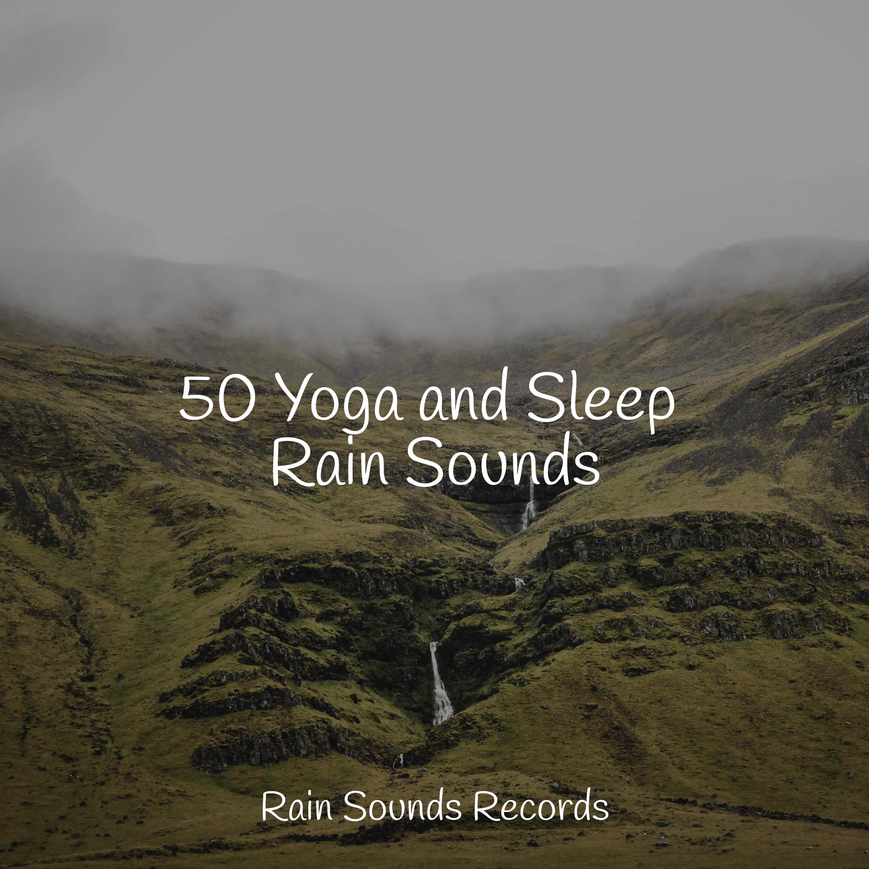 Echoes of a Soft Storm - Zen Music Garden/Musica Para Estudiar Academy ...