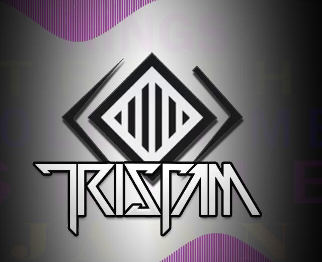 Tristam（Tristam 0_o，peaceriver，ab） - 歌手 - 网易云音乐