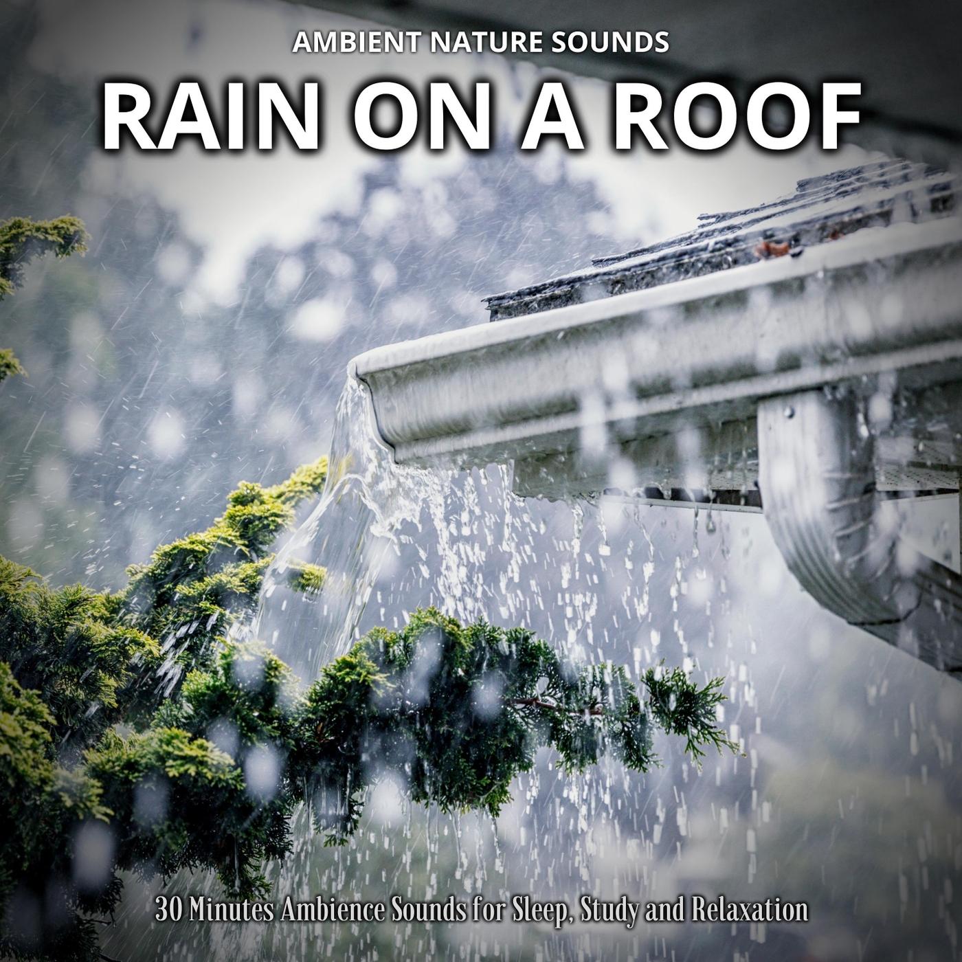 Ambient Nature Sounds: Rain on a Roof (30 Minutes Ambience Sounds for ...