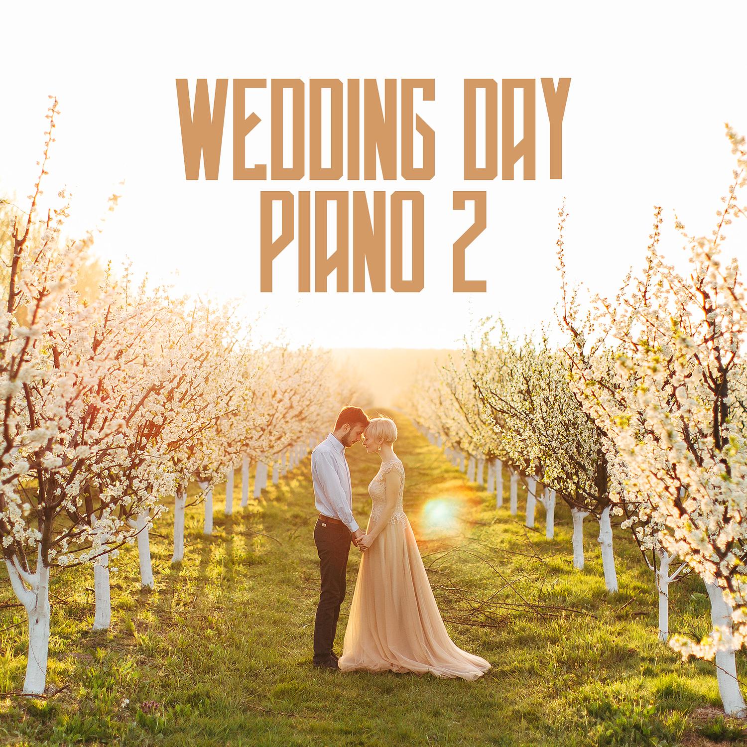 Wedding Day Piano 2 - Various Artists - 专辑 - 网易云音乐