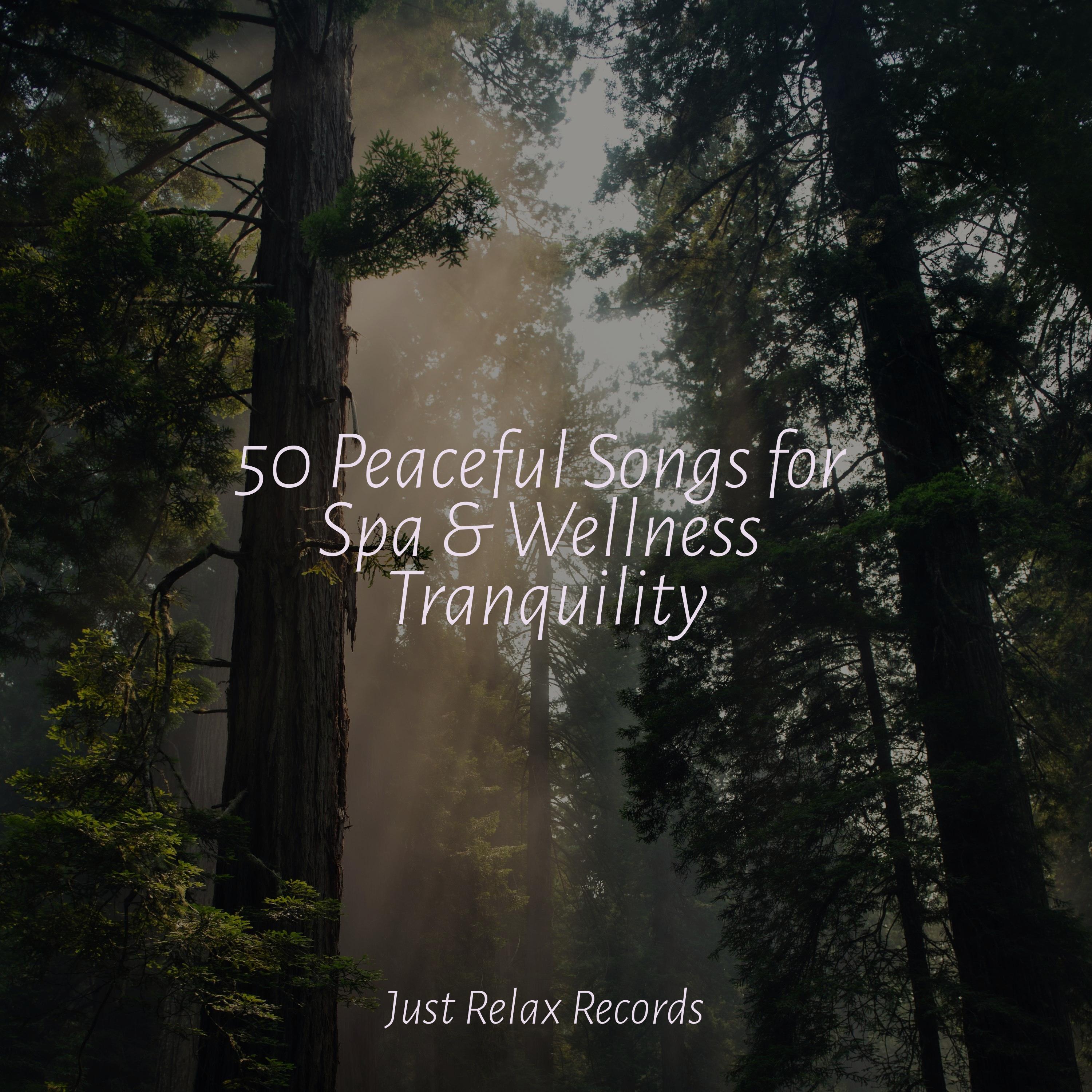 50 Peaceful Songs for Spa & Wellness Tranquility - Sleep Baby Sleep ...