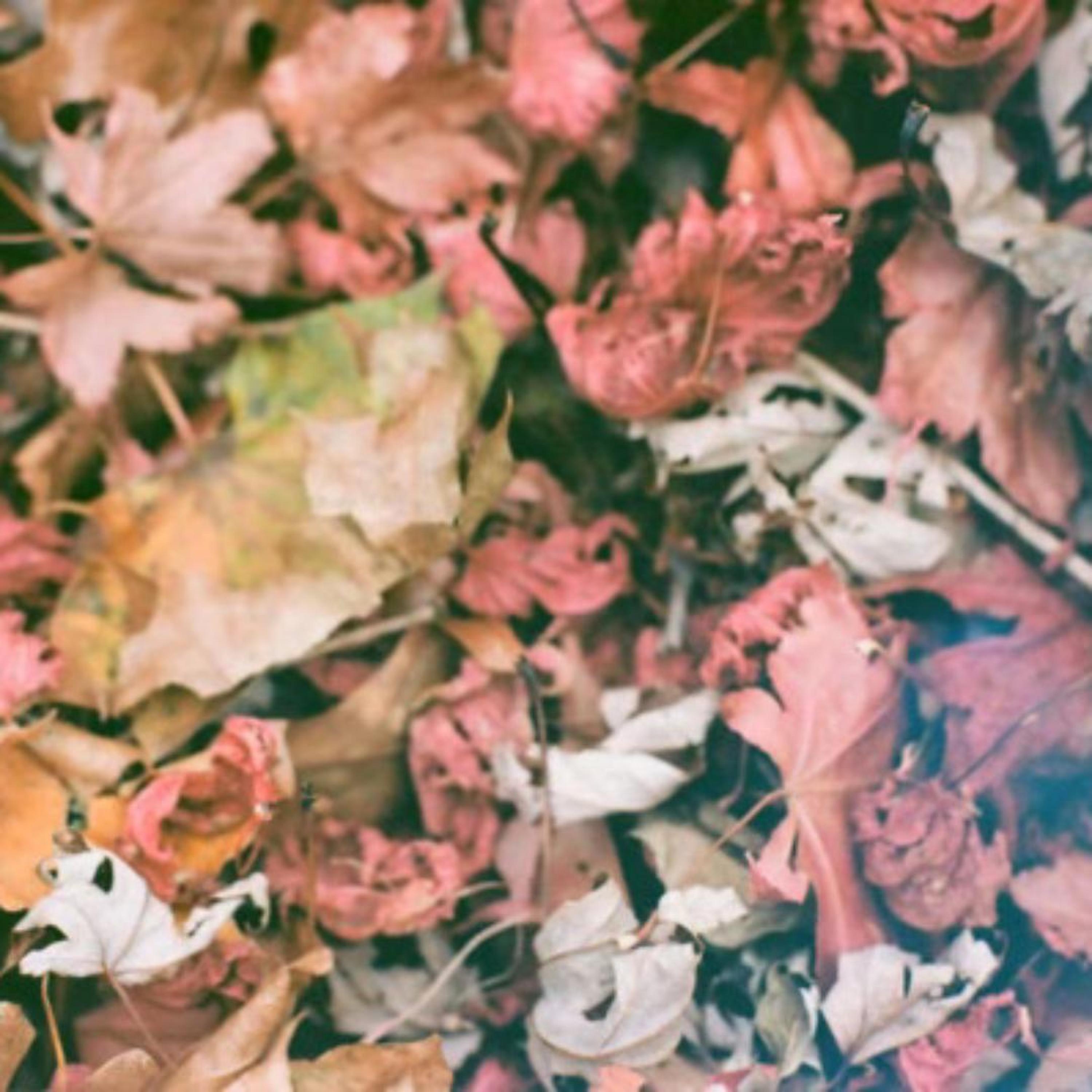 Low Tide - Dylan Egan - 单曲 - 网易云音乐