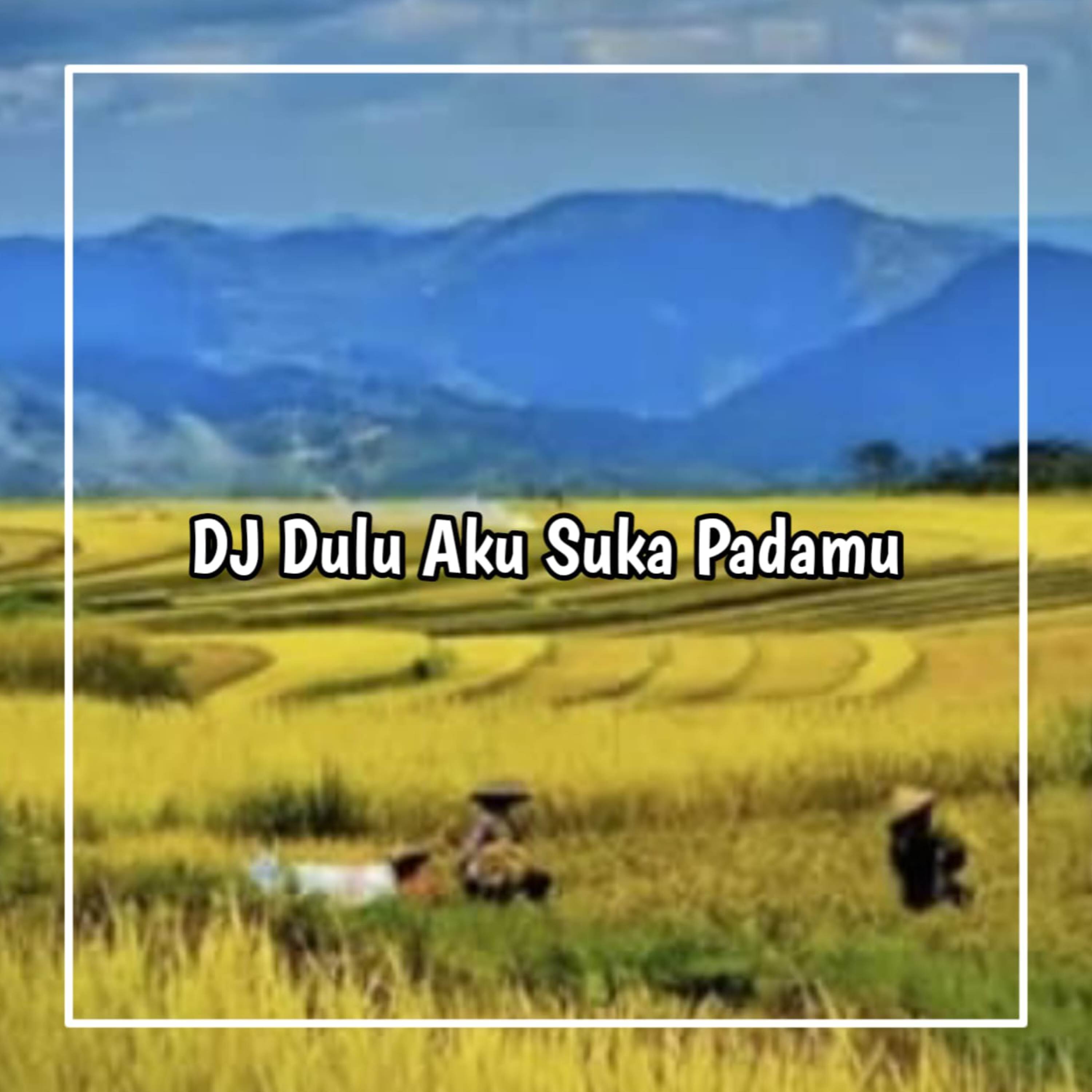 DJ Dulu Aku Suka Padamu Dulu Aku Emang Suka X Mashup Mangkane - Mine ...