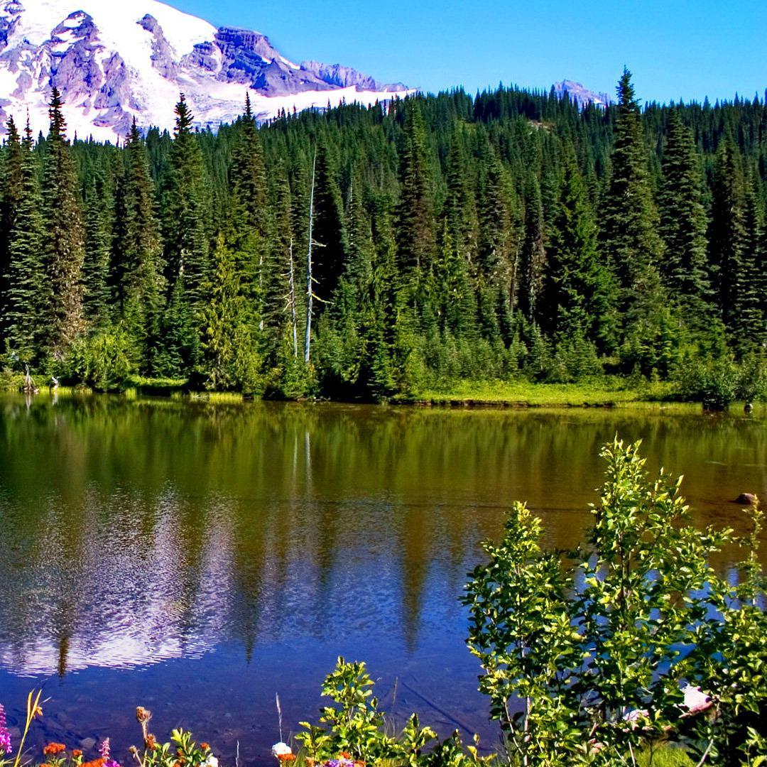 广告30 - 炜炜 - 单曲 - 网易云音乐