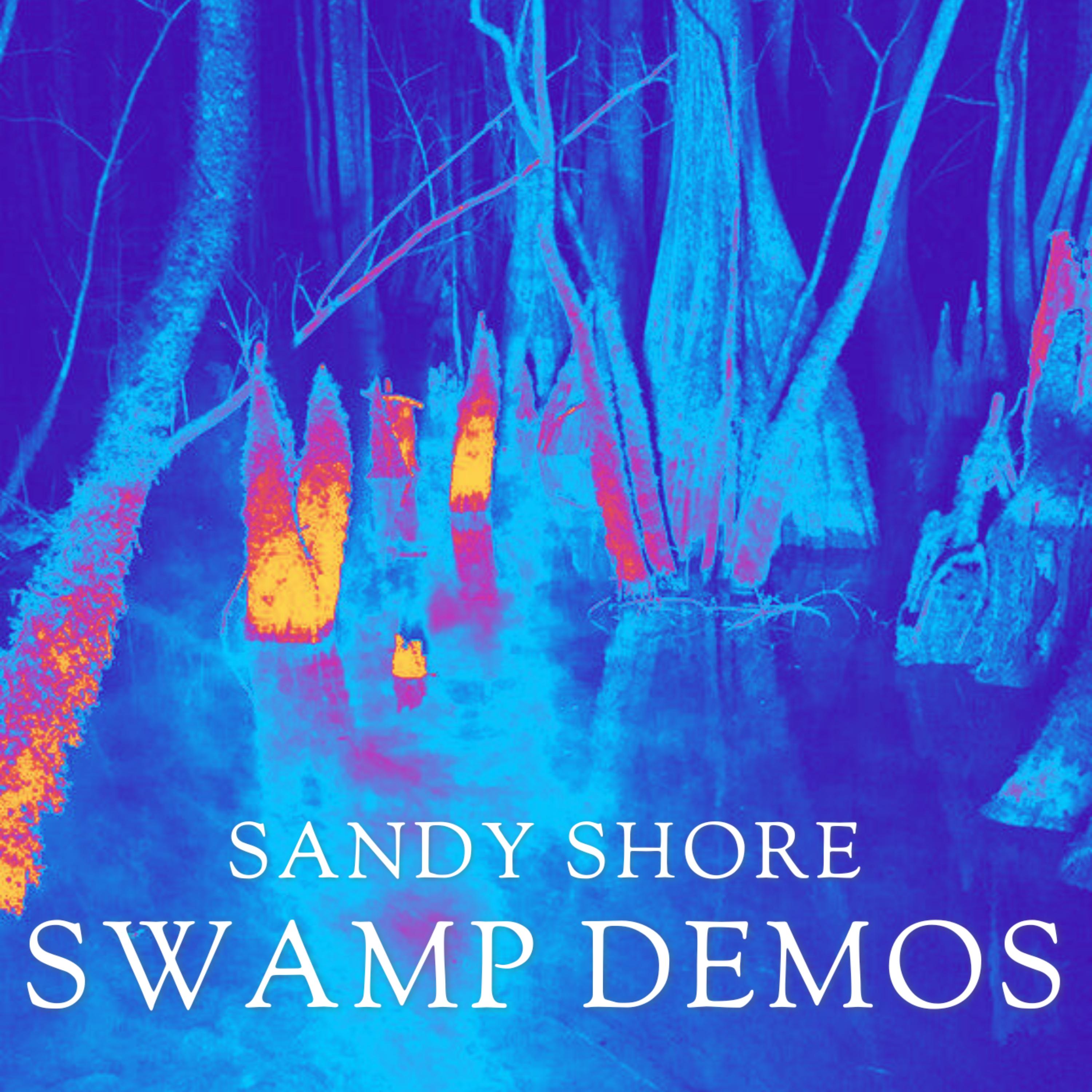 Heavy - Sandy Shore - 单曲 - 网易云音乐