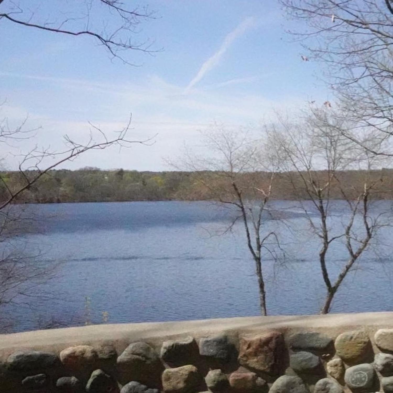 Fox - Vern Matz/Vern - 单曲 - 网易云音乐