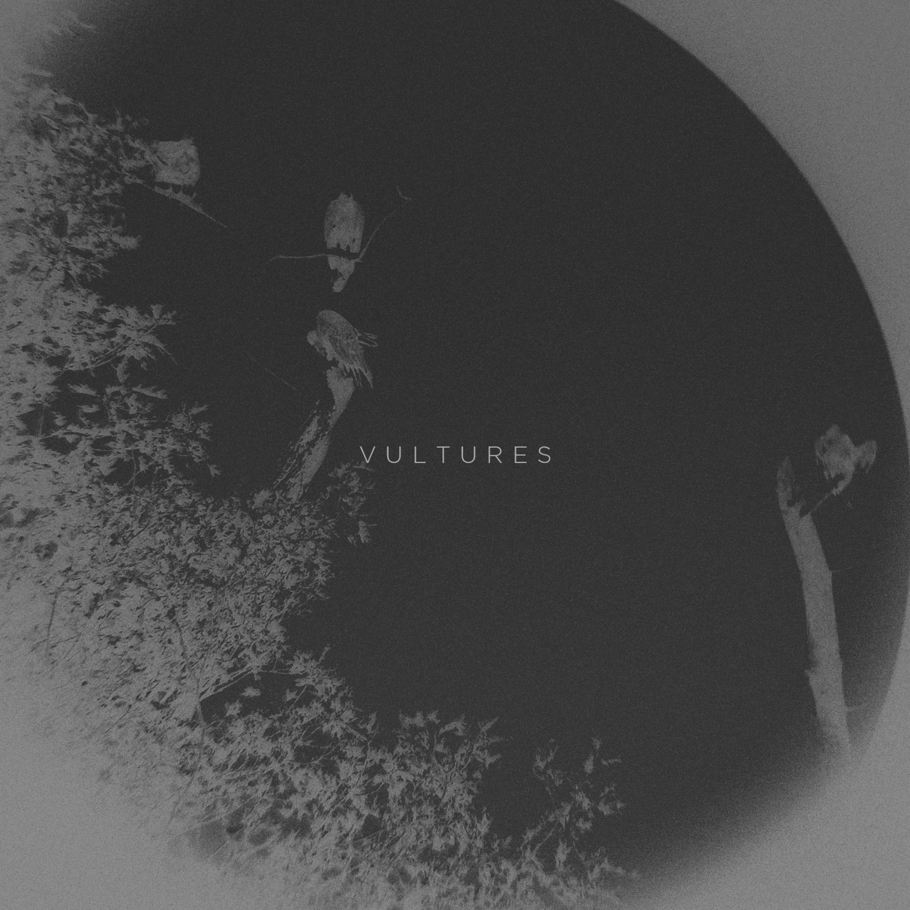 Vultures - Sun Heat - 专辑 - 网易云音乐