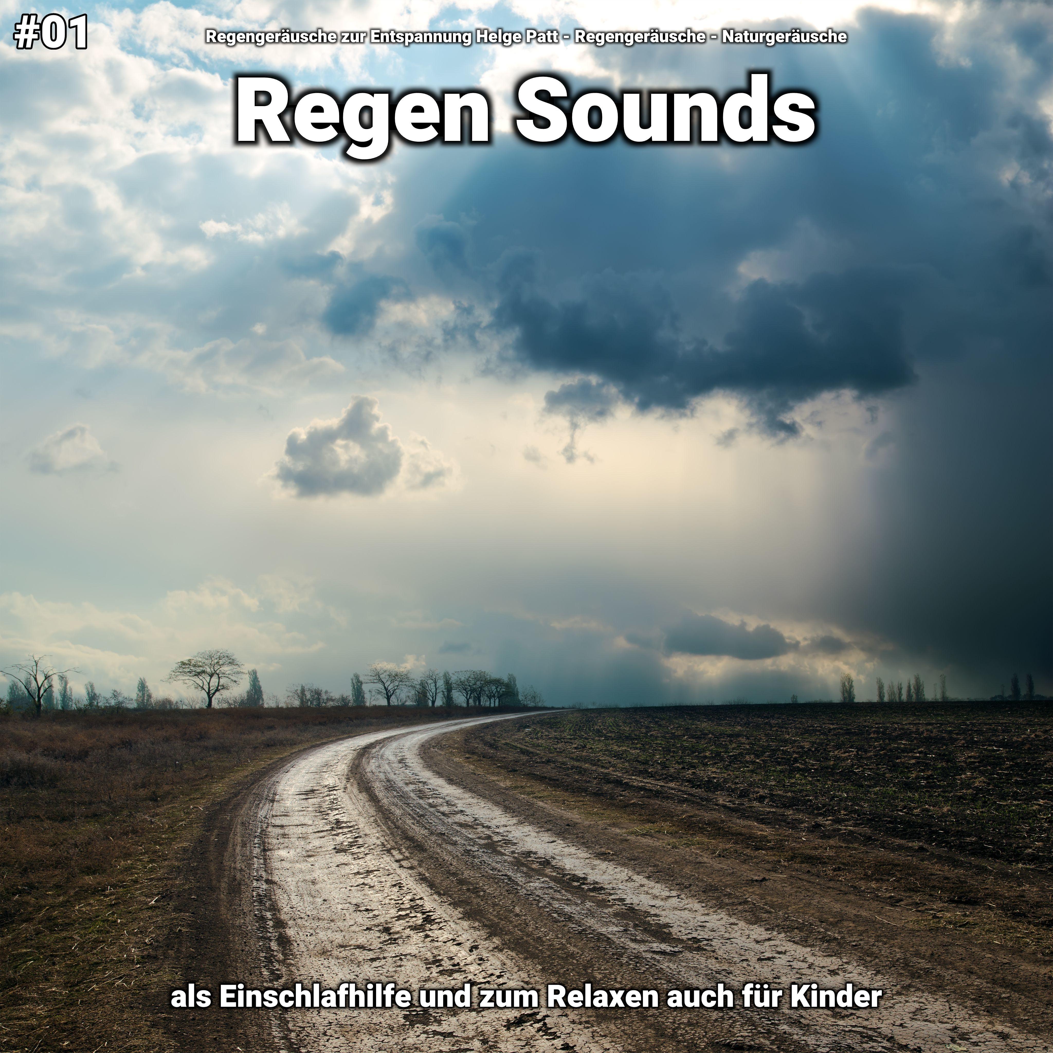 Regen Sounds, pt. 15 - Regengeräusche/Naturgeräusche - 单曲 - 网易云音乐