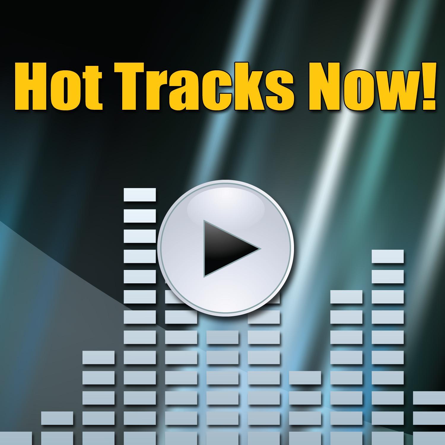Can't Be Tamed (Made Famous by Miley Cyrus) - Future Hitmakers - 单曲 - 网易云音乐