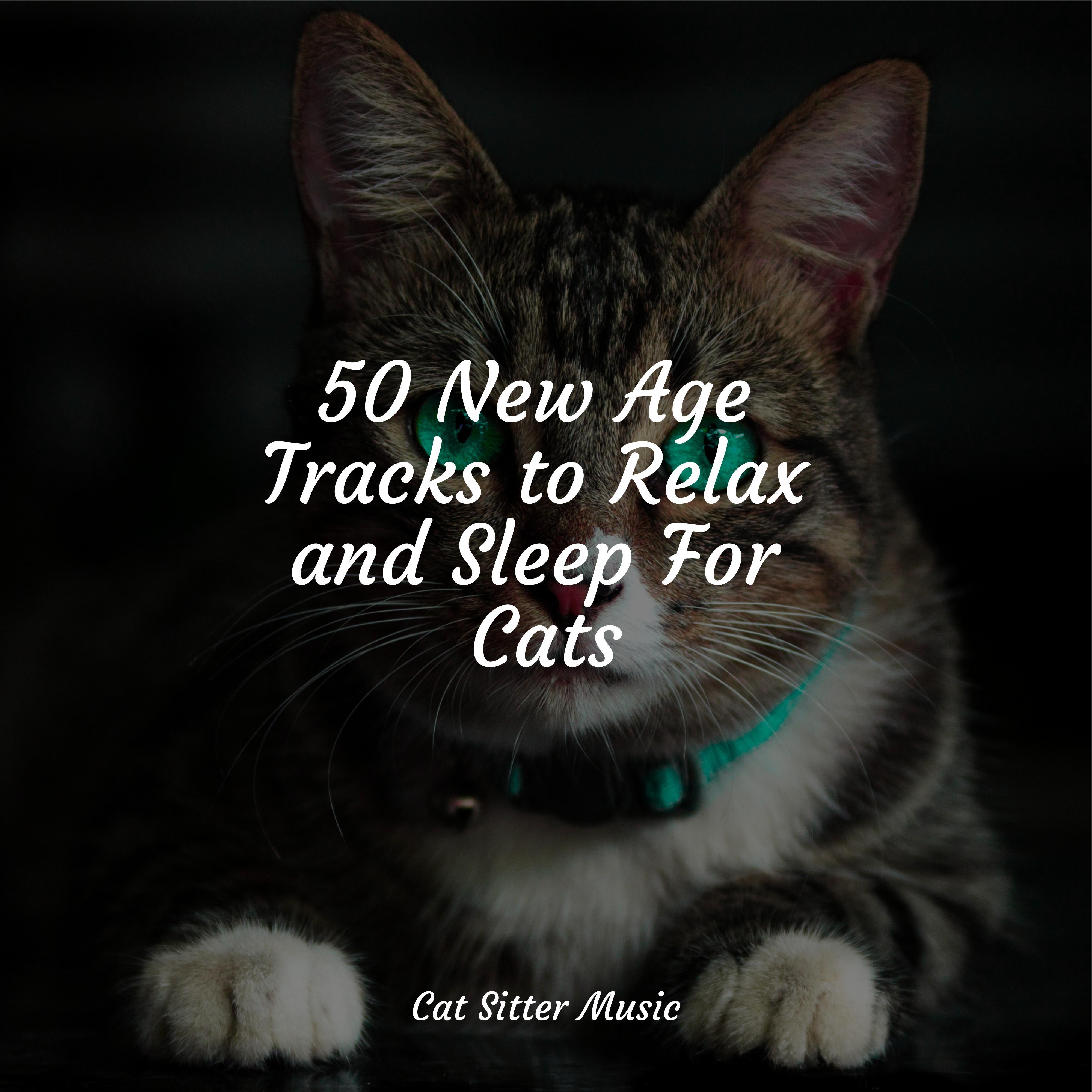 50 New Age Tracks to Relax and Sleep For Cats - Music for Cats TA - 专辑 ...