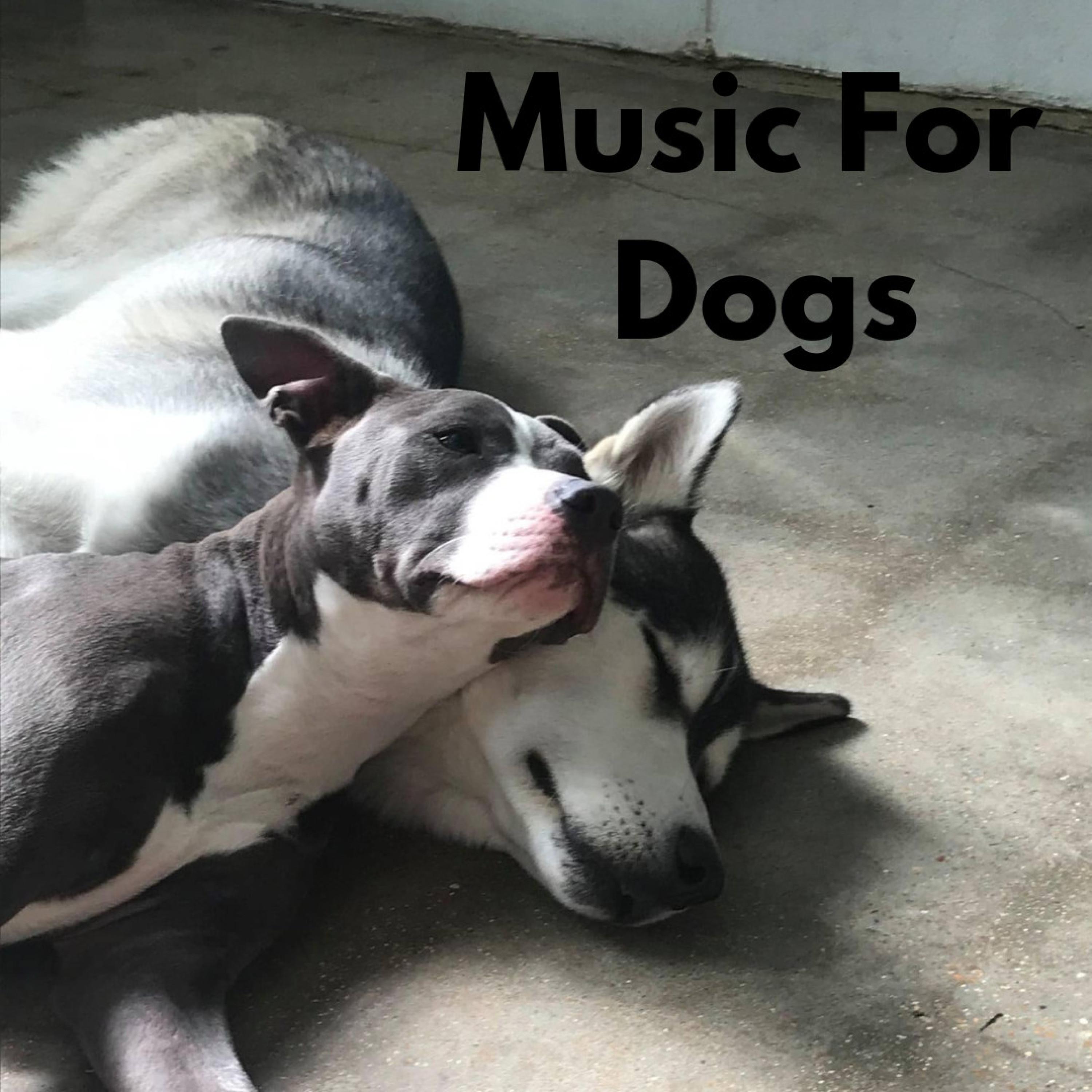 Doggy Jams - Music For Dogs/Music For Dogs Peace/Relaxing Puppy Music ...