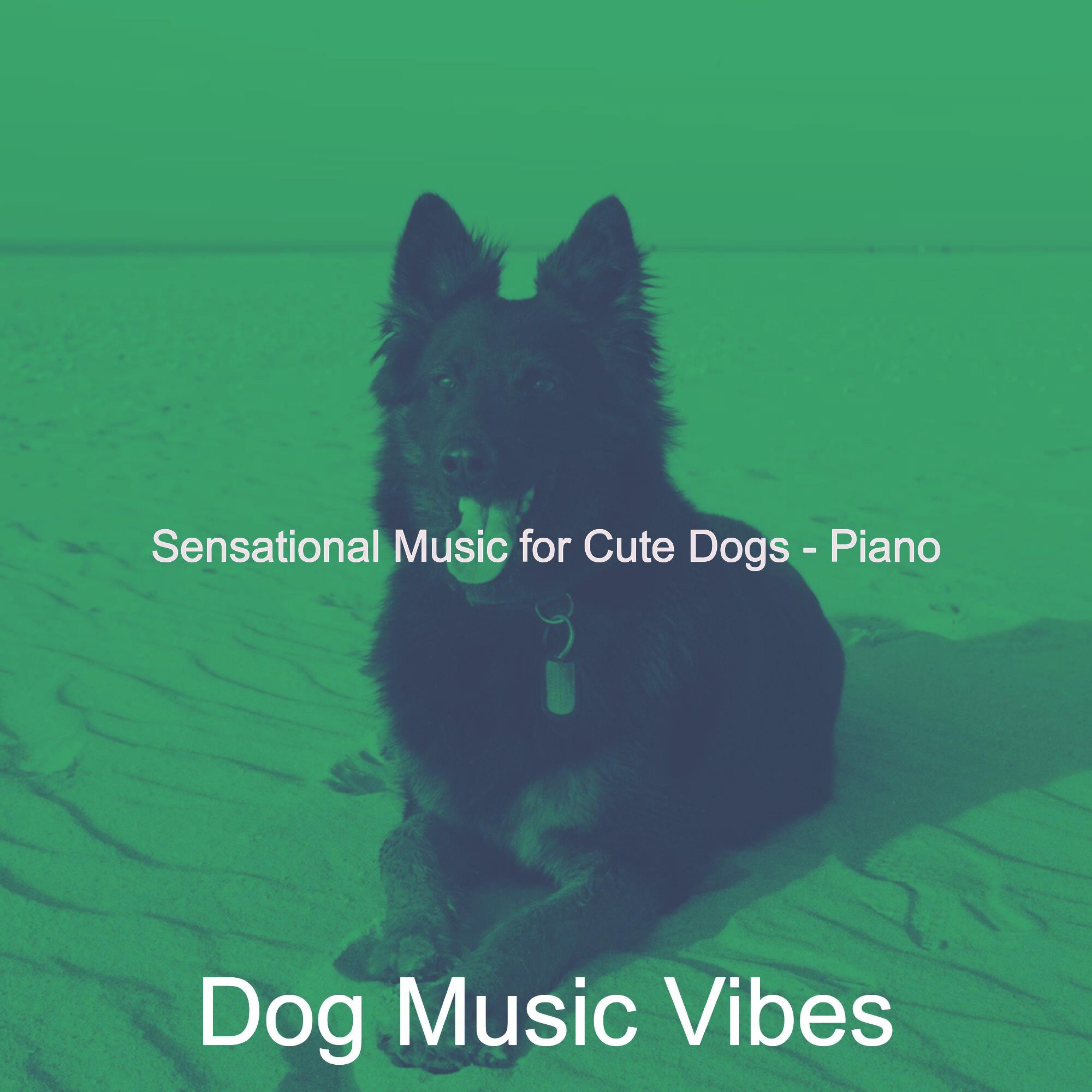 Sensational Music for Cute Dogs - Piano - Dog Music Vibes - 专辑 - 网易云音乐