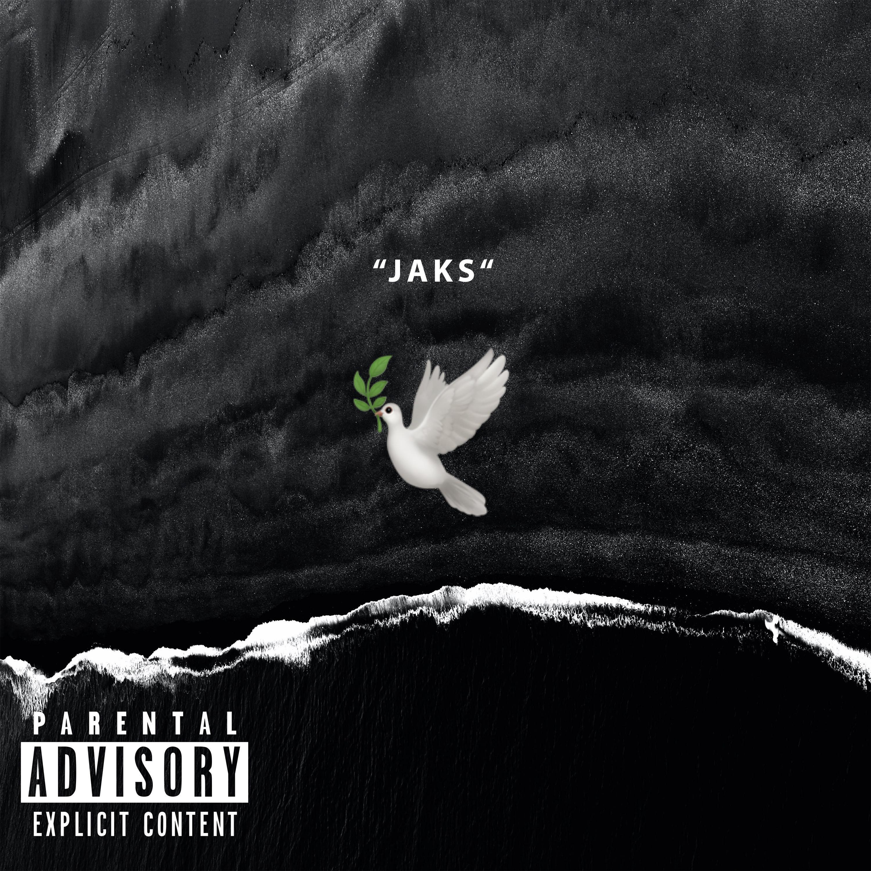 JAKS - J.Angel - 专辑 - 网易云音乐