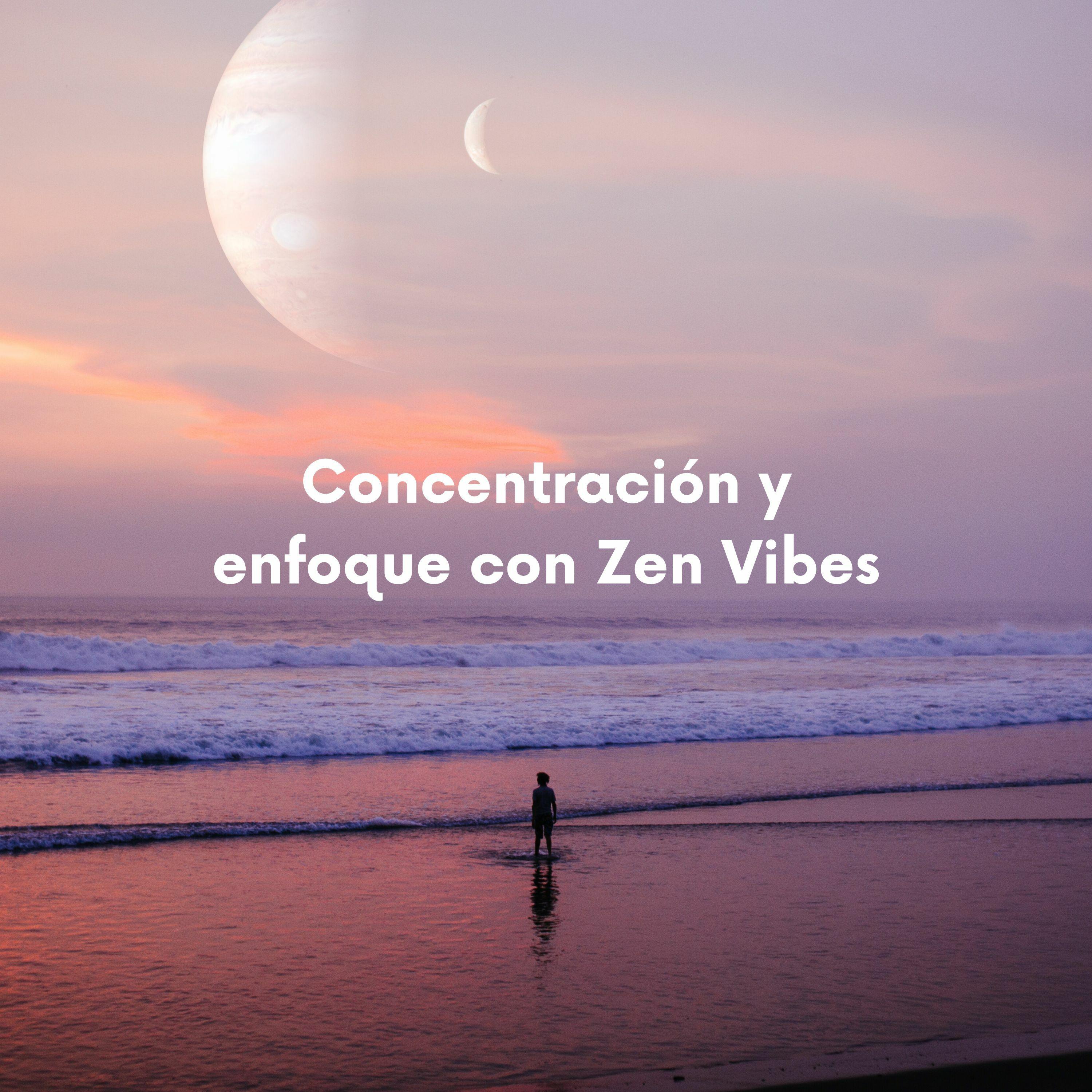 Enfoque profundo - Zen Vibes - 单曲 - 网易云音乐