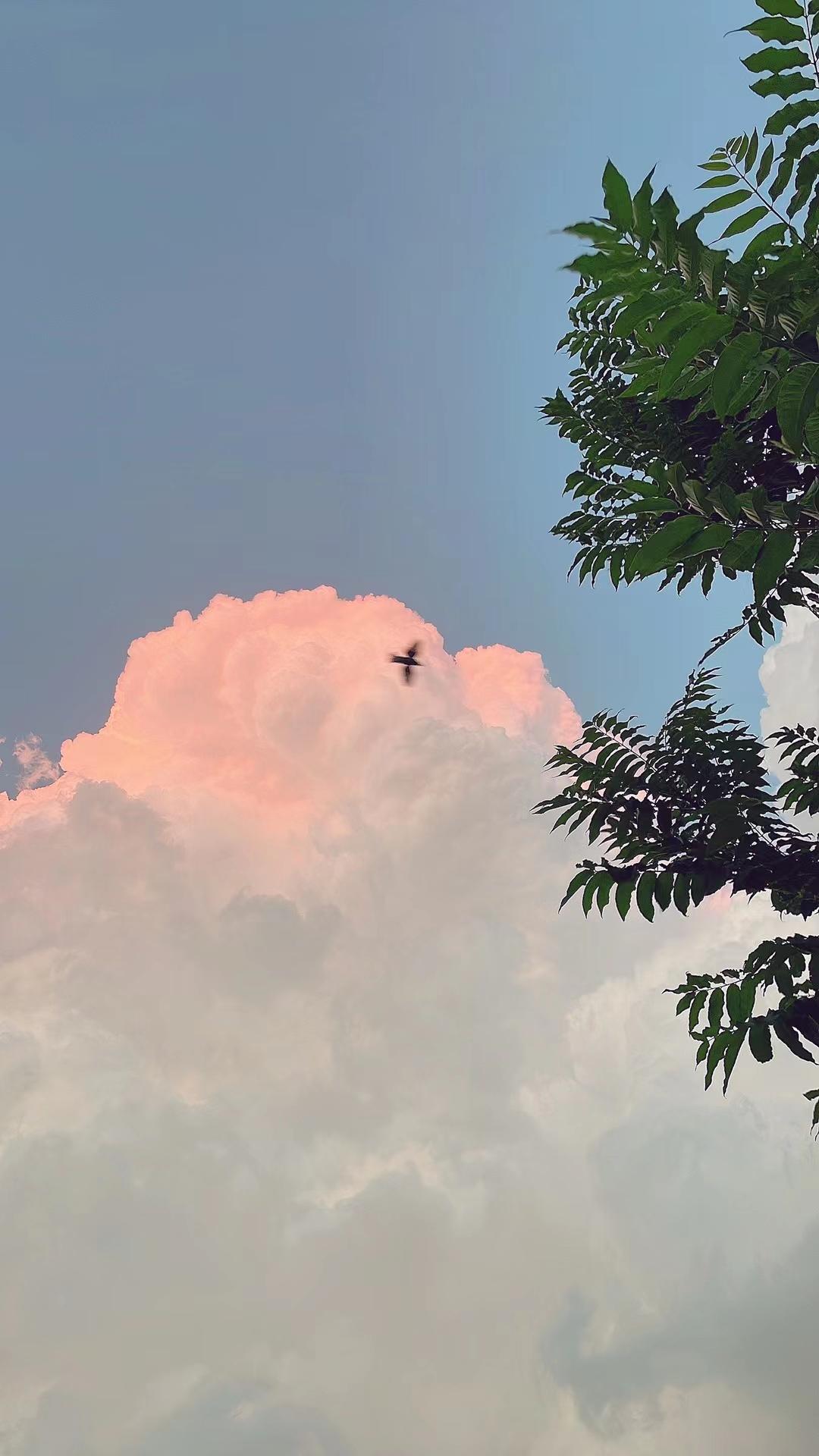 Seryoja - Neg Teg Tseg (MV)_128K) - MGL DUU - 电台节目 - 网易云音乐