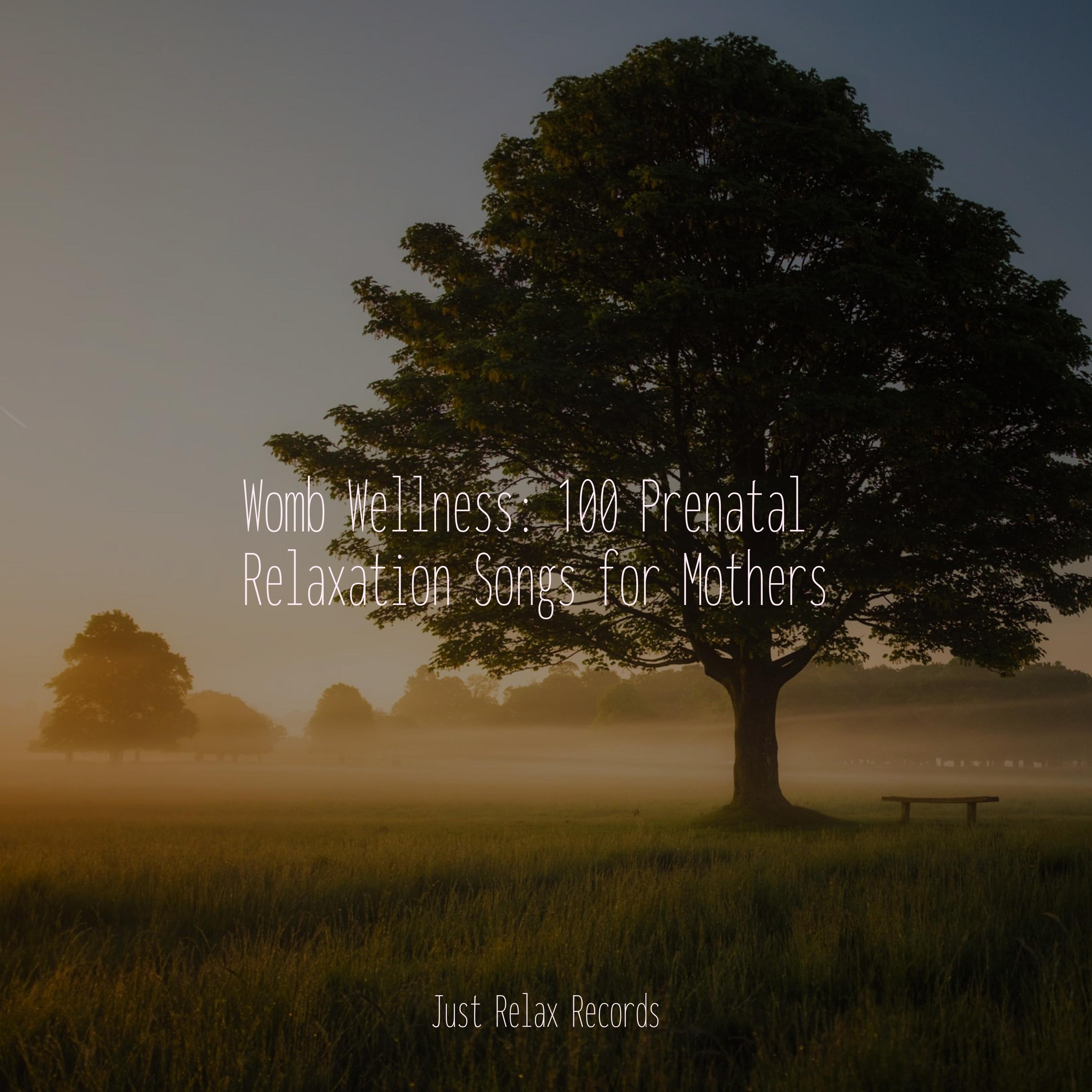 Lonely Tune's Resonance - Musica para Dormir Dream House/Relaxation ...