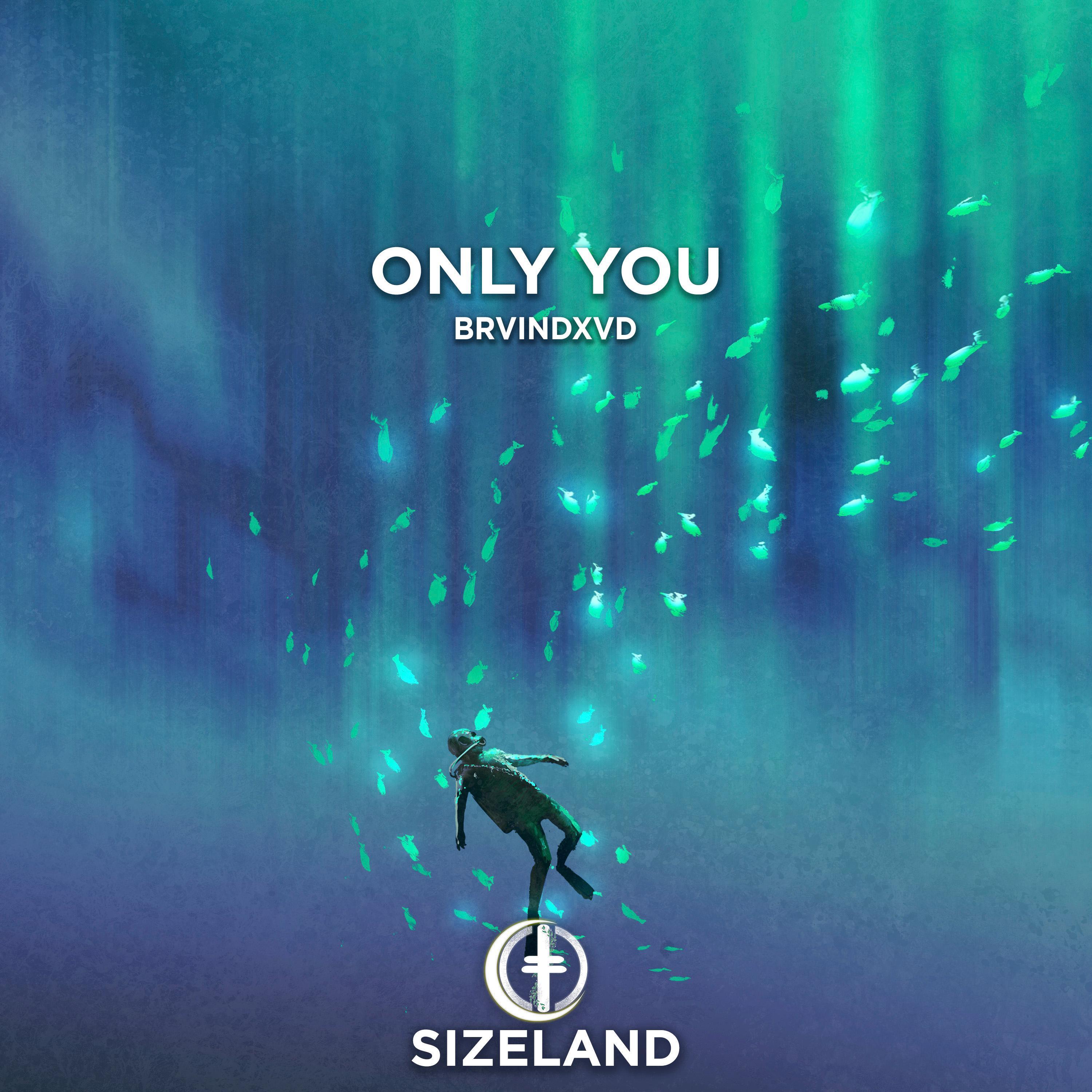 Only You - BRVINDXVD - 专辑 - 网易云音乐