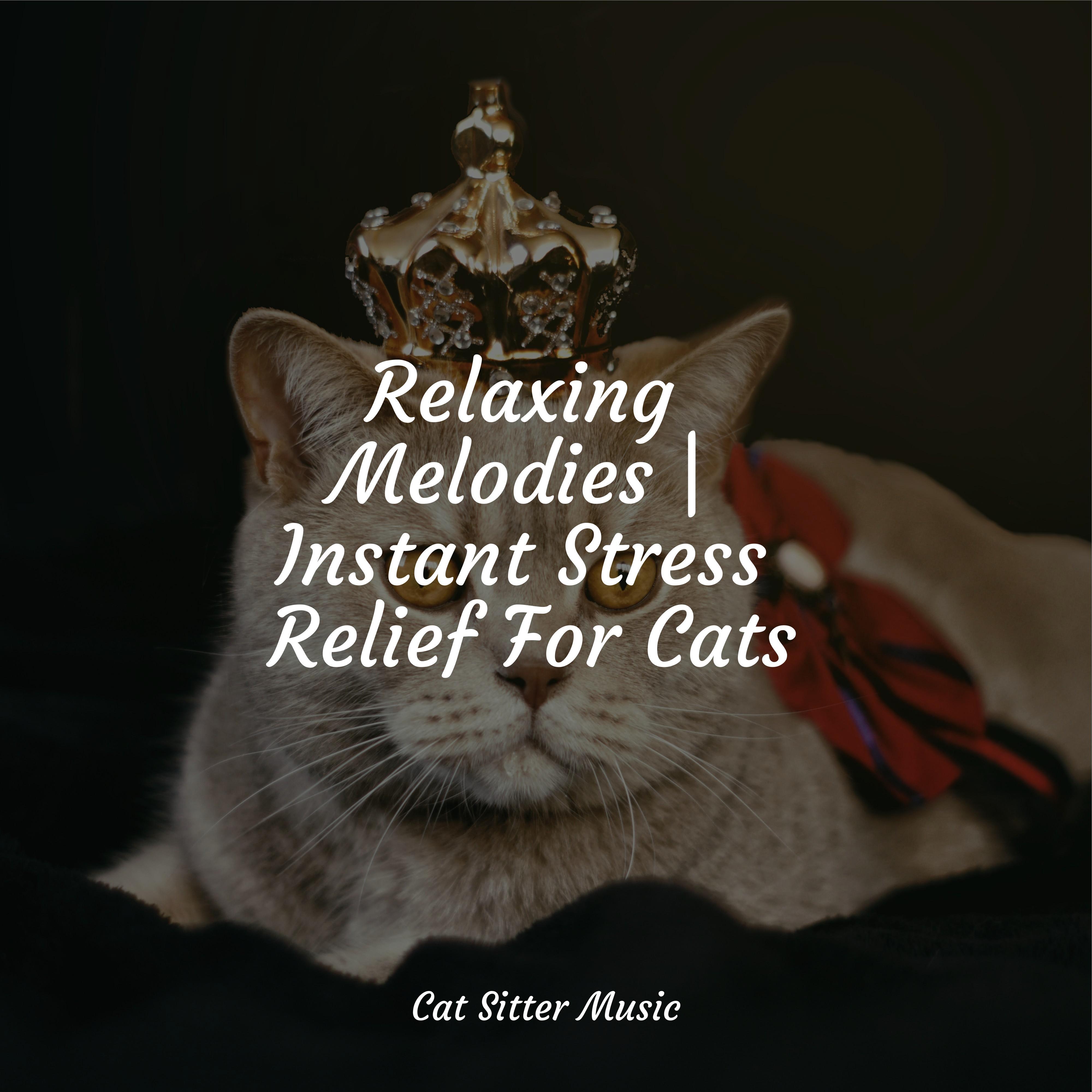 By the Campfire - Music for Relaxing Cats/Calm Music for Cats/Cat Music ...