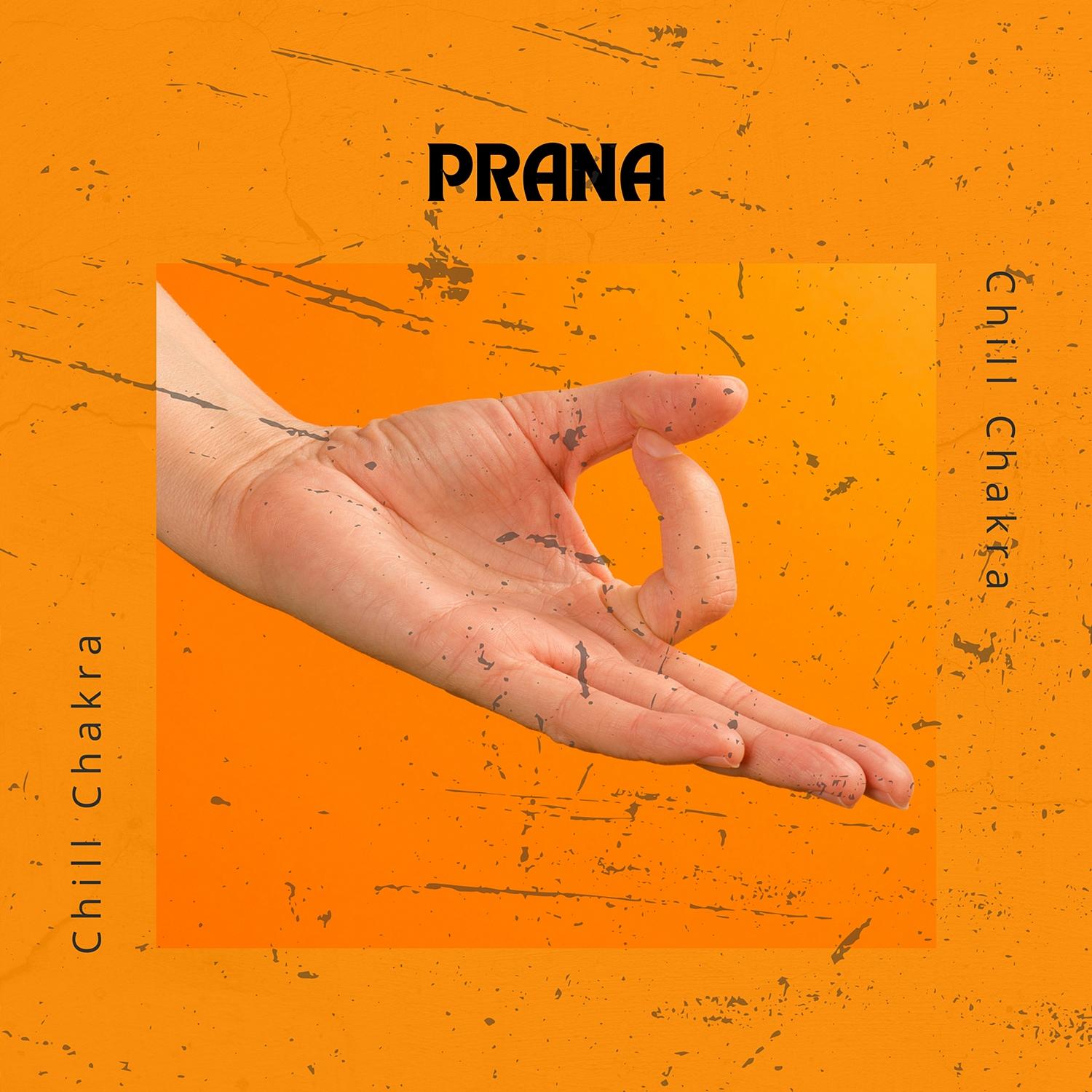 Prana (Life Force) - Chill Chakra - 专辑 - 网易云音乐