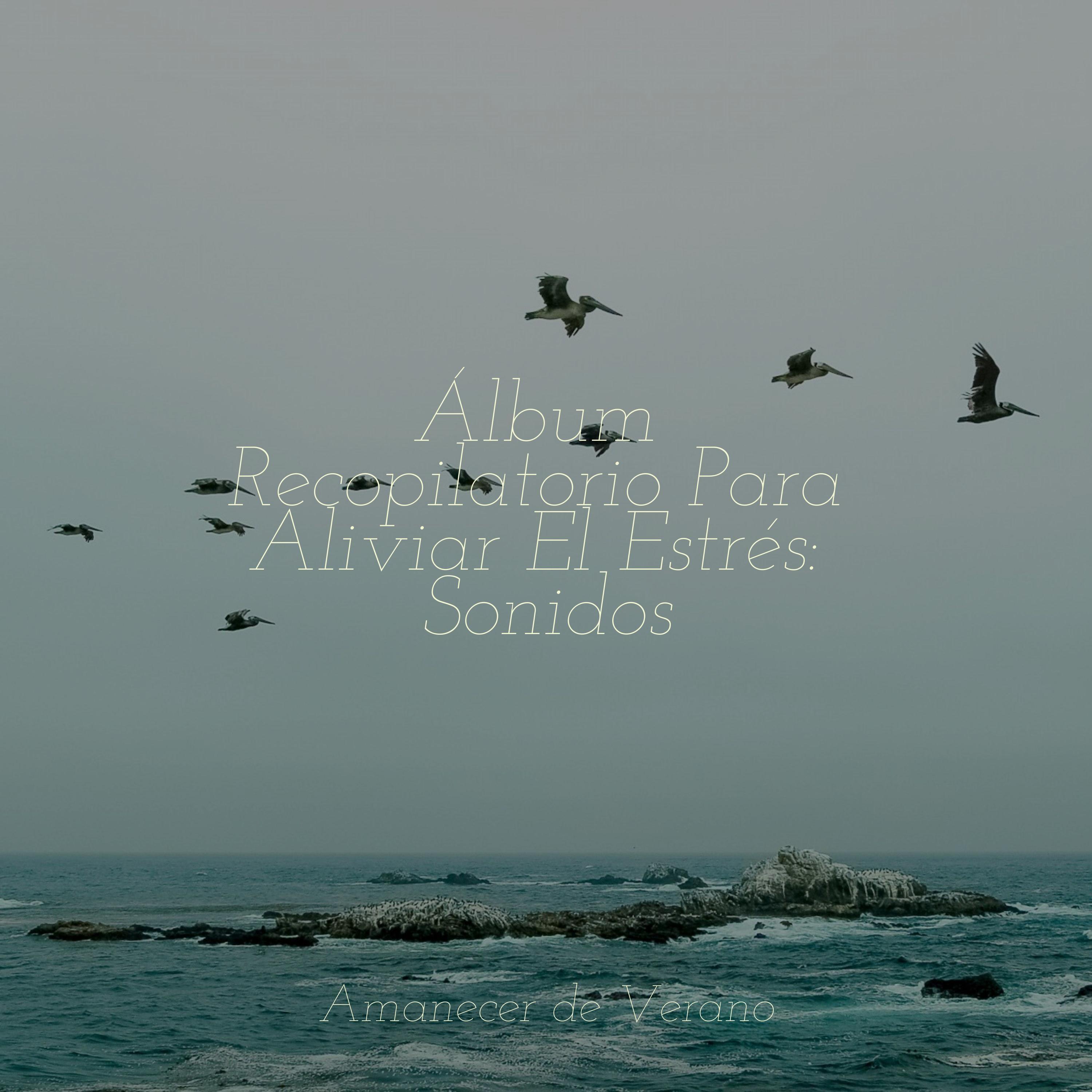 Conexiones Inéditas - Masajes Spas/Lullabyes/Música ambiental relajante ...