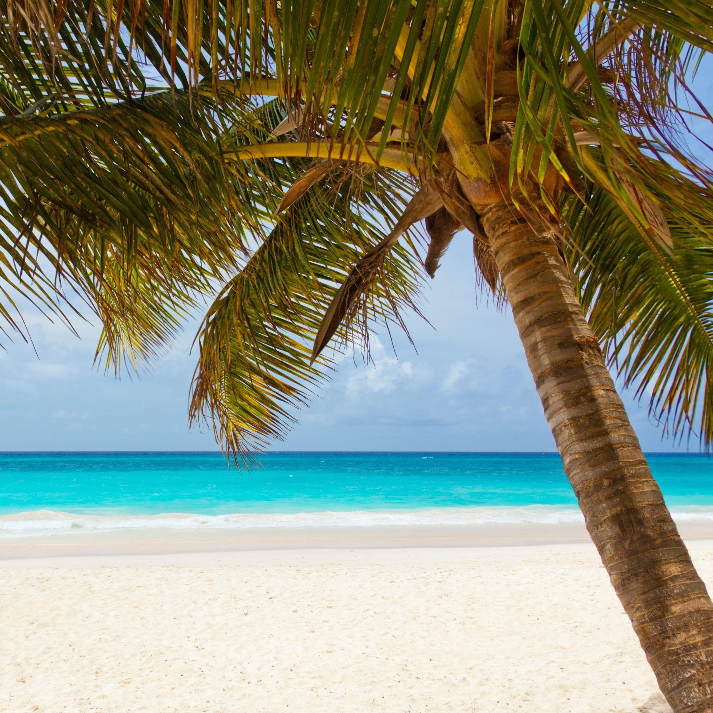 Flowing Notes - Zen/Deep Rain Sampling/Rain Sounds Factory STHLM - 单曲 ...