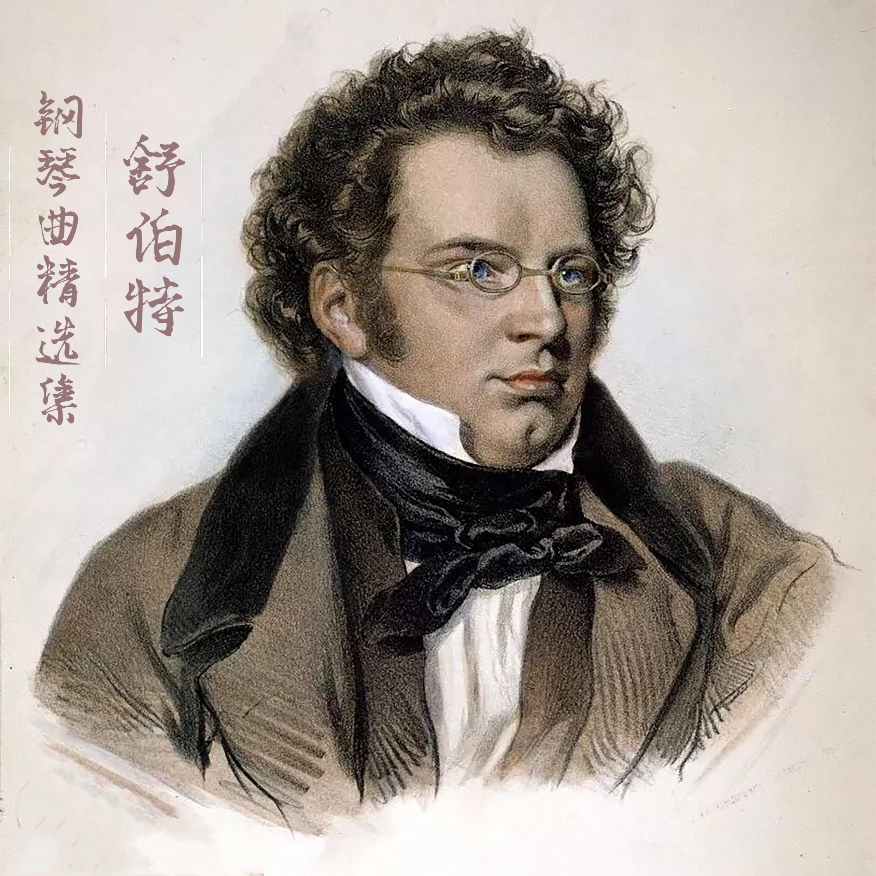 舒伯特 未完成交响曲 D.759 in B Minor - Linna Lee - 单曲 - 网易云音乐