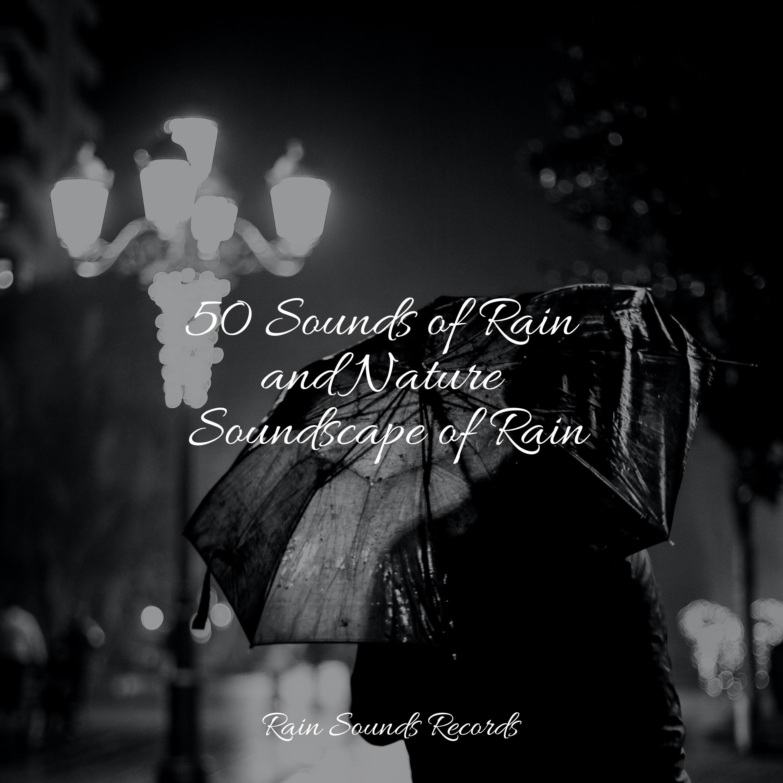 50 Sounds of Rain and Nature Soundscape of Rain - Soothing Sounds - 专辑 ...