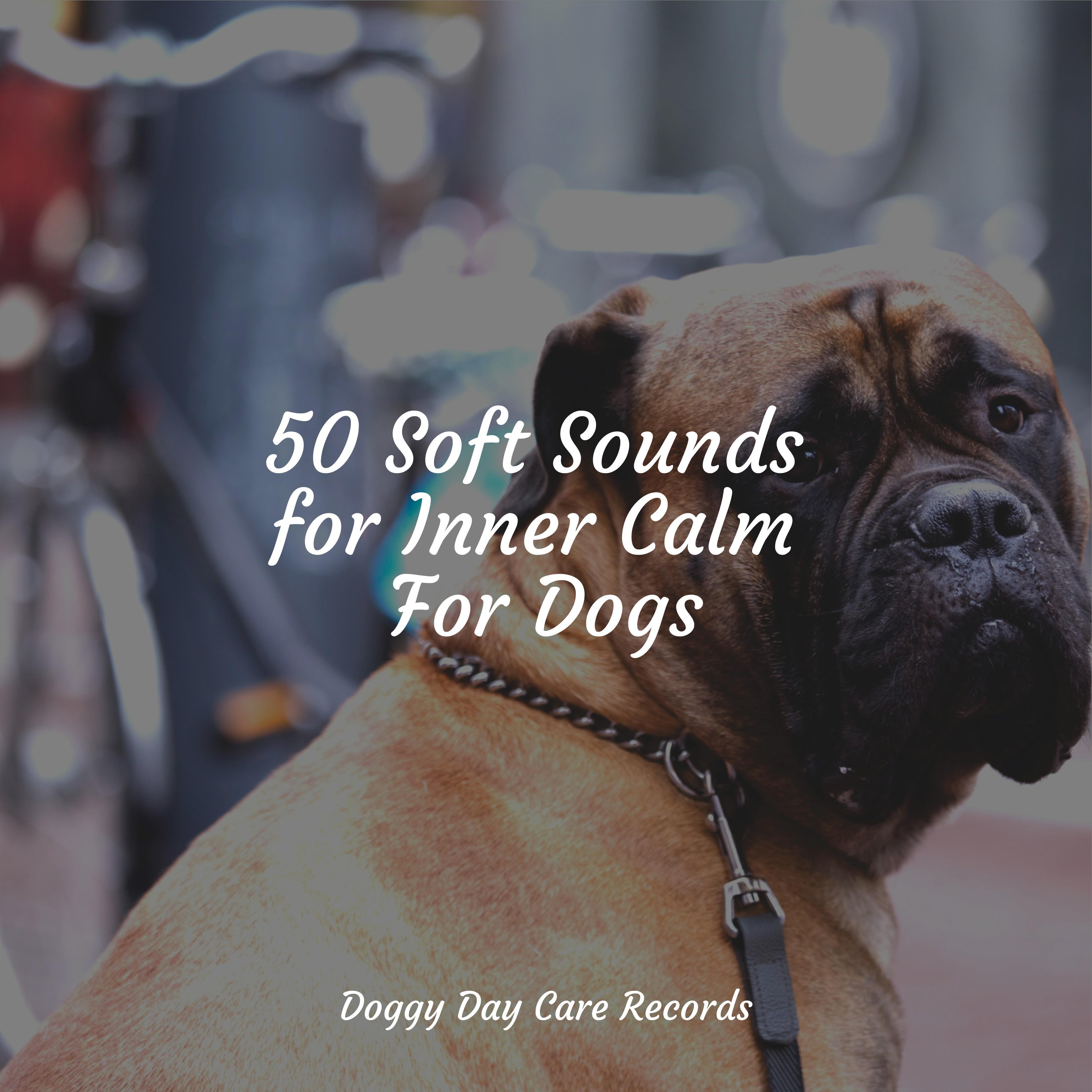 50 Soft Sounds for Inner Calm For Dogs - Music for Pets Library - 专辑 ...