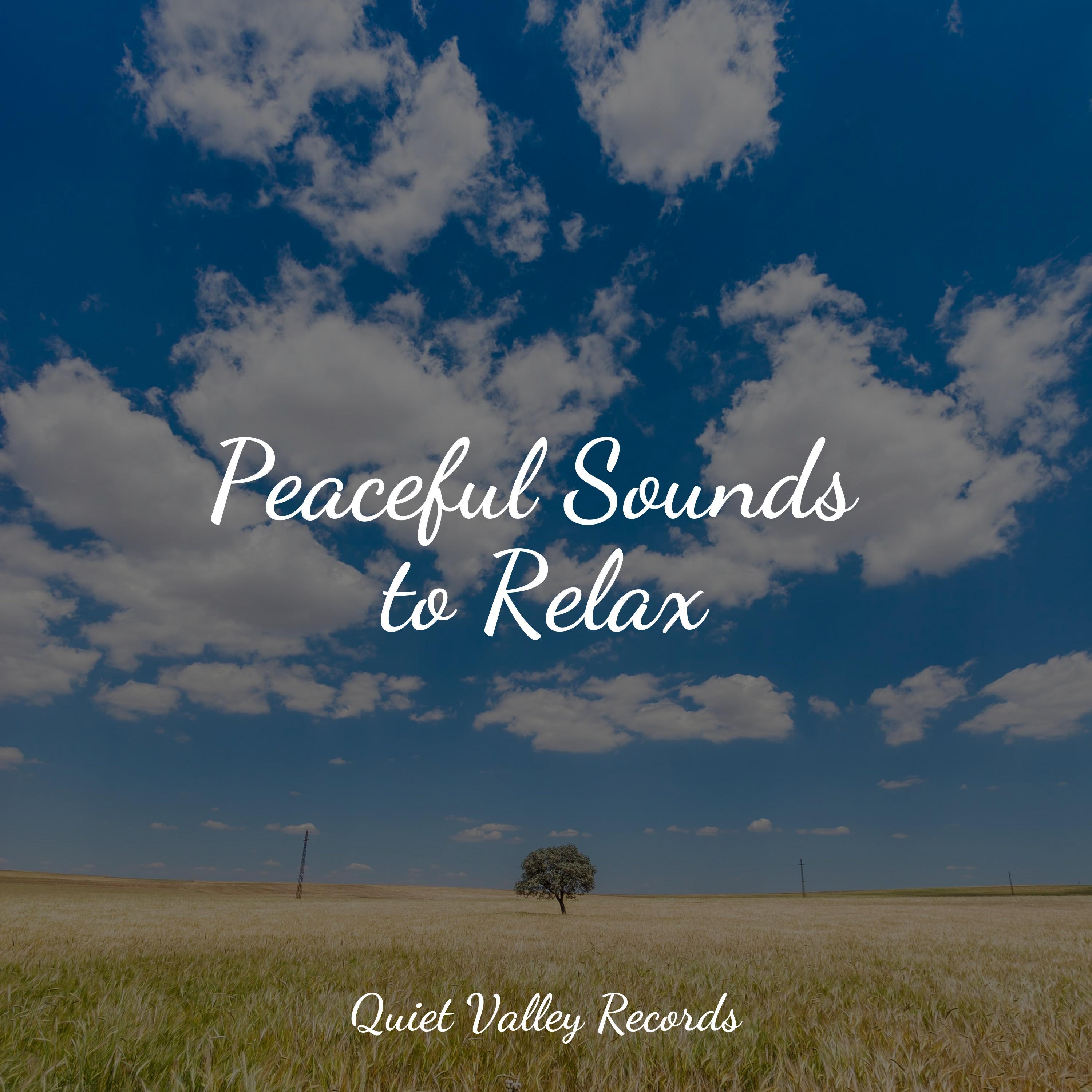Peaceful Sounds to Relax - Tibetan Singing Bowls for Relaxation - 专辑 ...