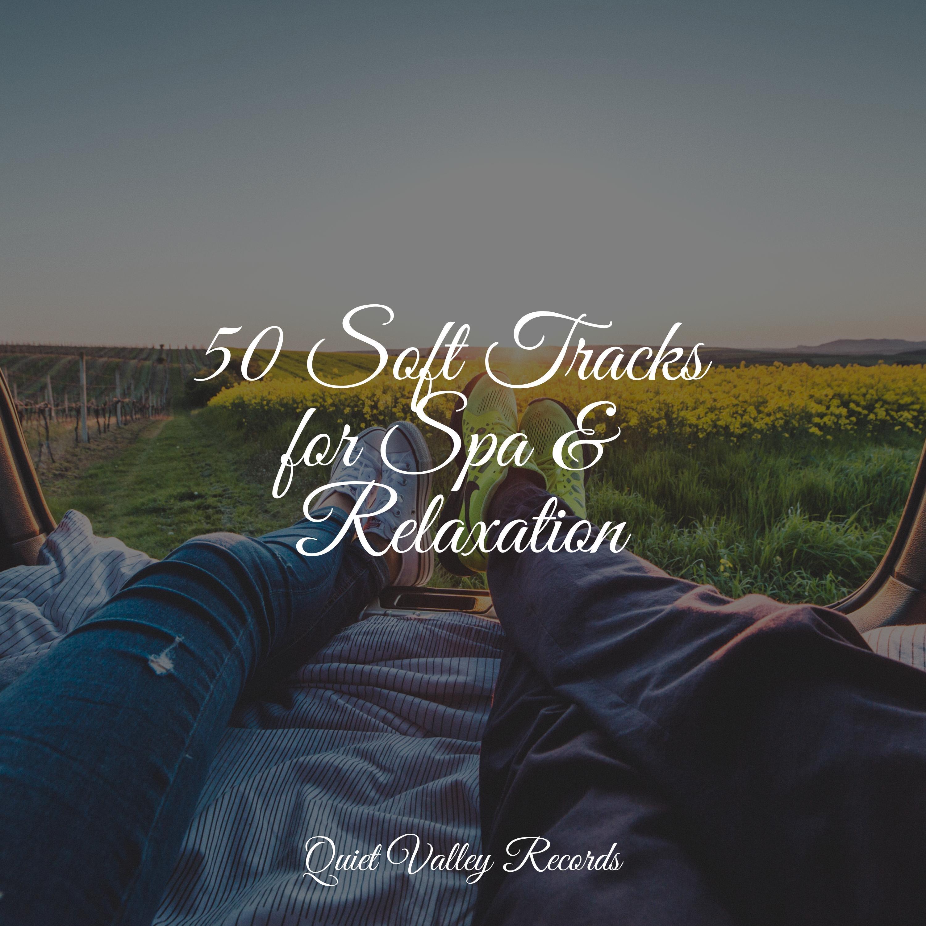 50 Soft Tracks for Spa & Relaxation - Rain Drops for Sleep - 专辑 - 网易云音乐