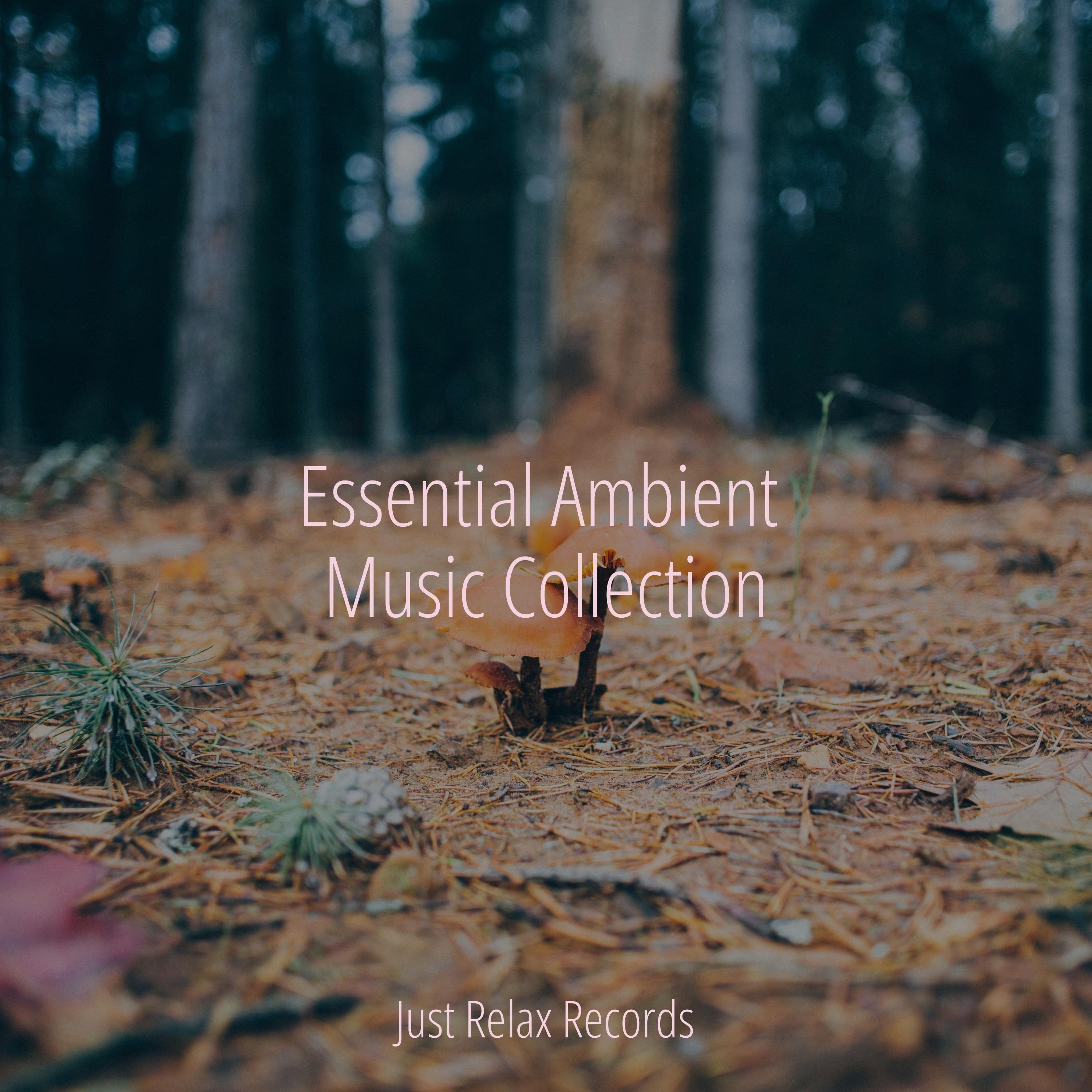 Essential Ambient Music Collection - Sonidos de la Naturaleza ...
