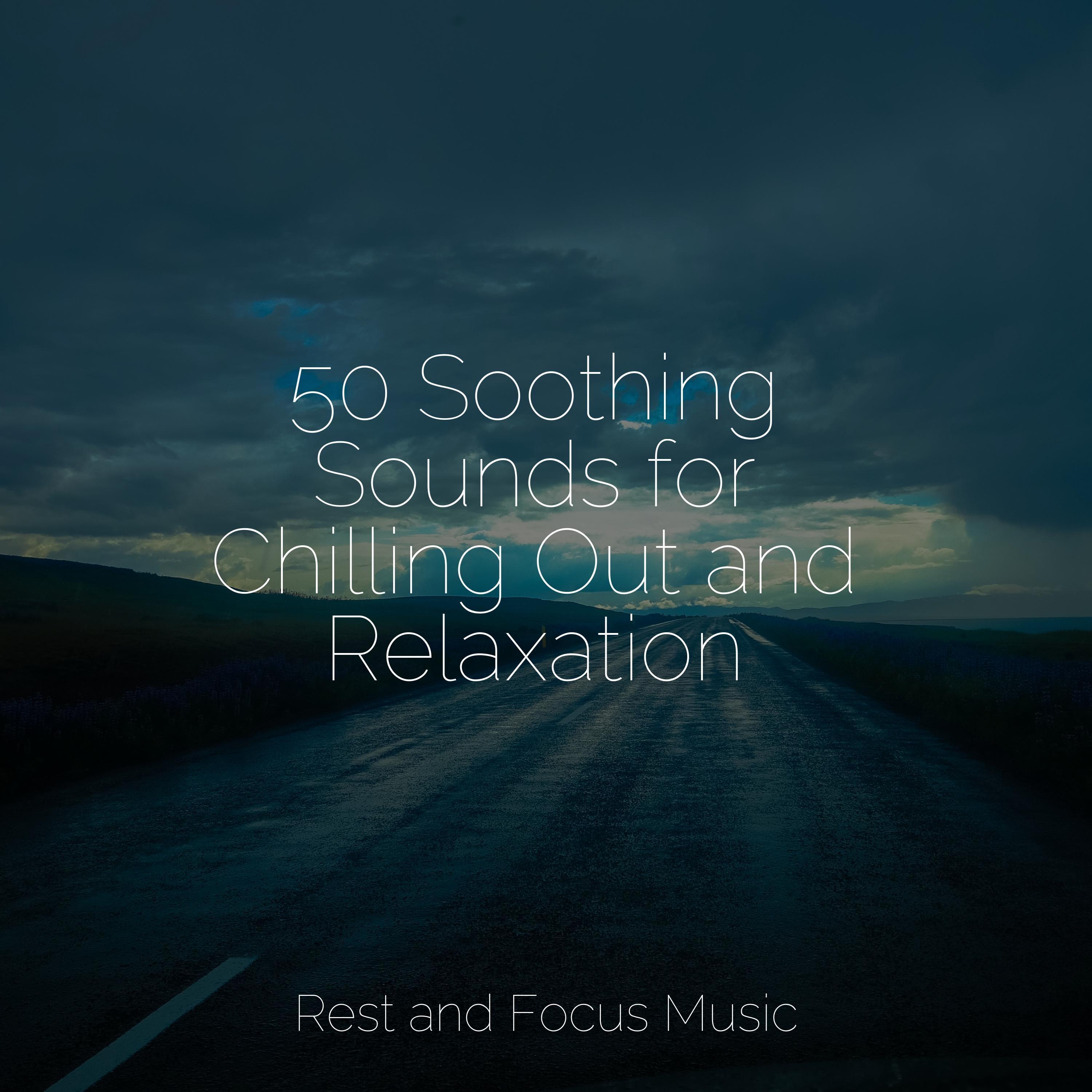 50 Soothing Sounds for Chilling Out and Relaxation - Avslappning Sound ...