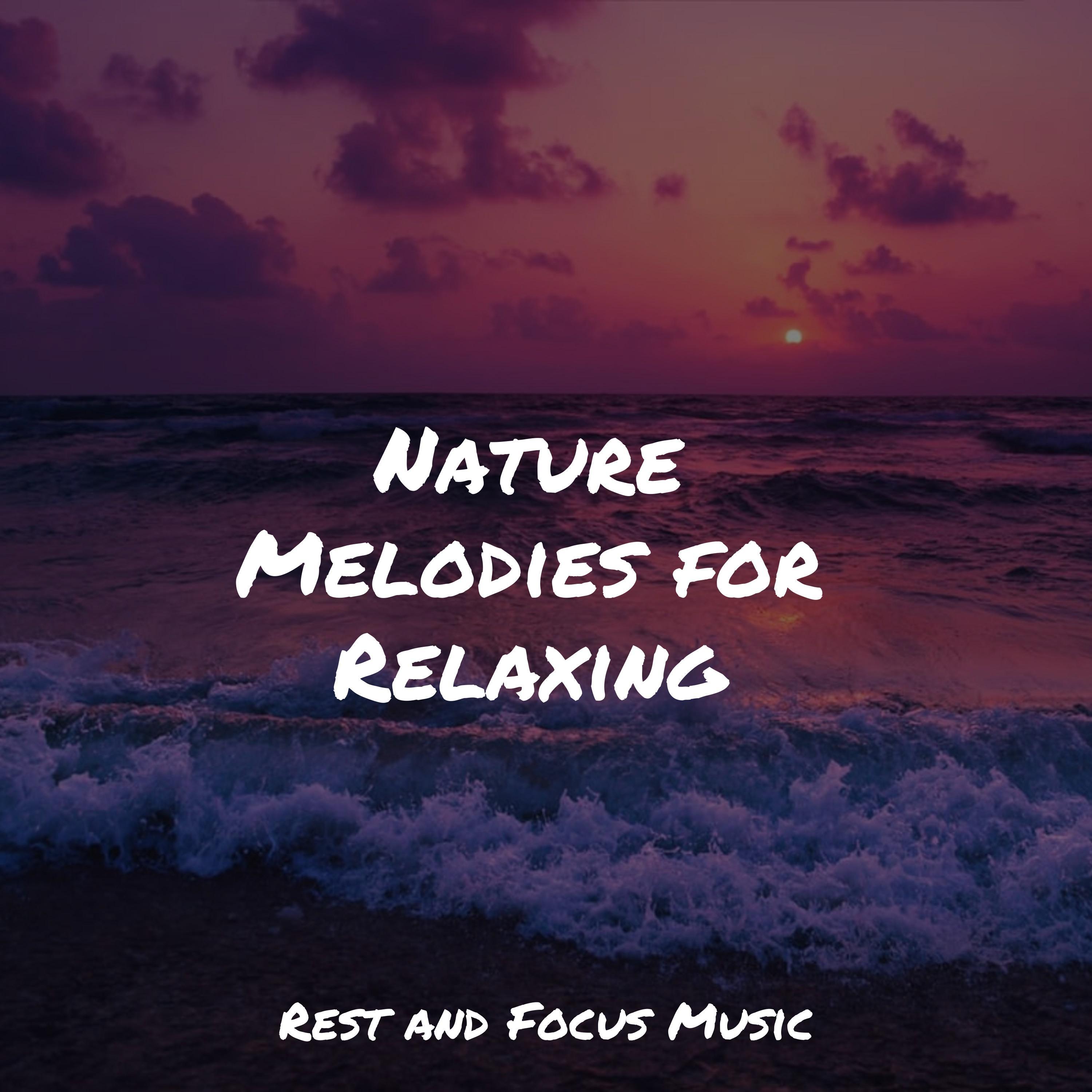 Nature Melodies for Relaxing - Sleep Music - 专辑 - 网易云音乐
