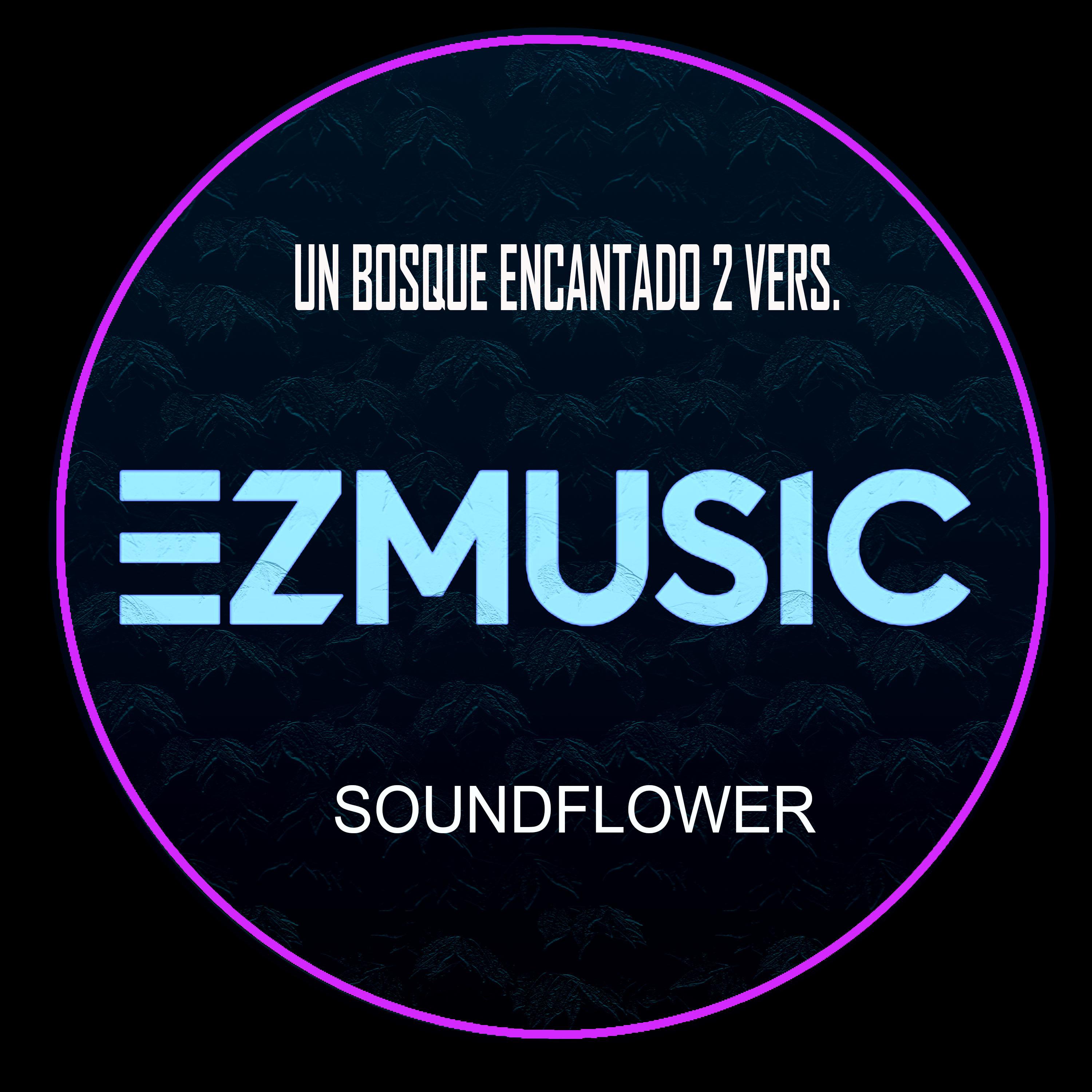 Un Bosque Encantado 2Vers. - Soundflower - 单曲 - 网易云音乐