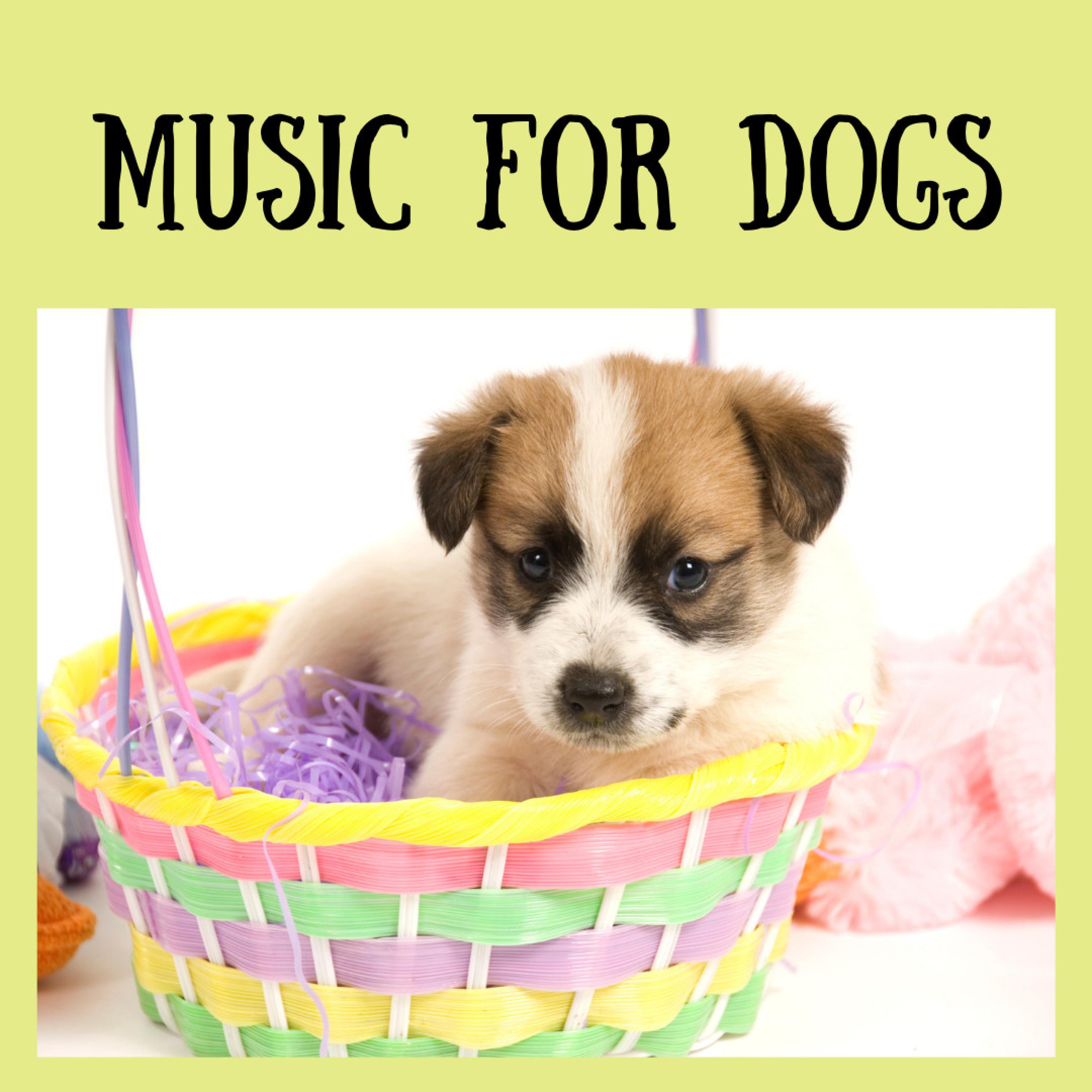 Pampered Paws - Music For Dogs/Music For Dogs Peace/Relaxing Puppy ...