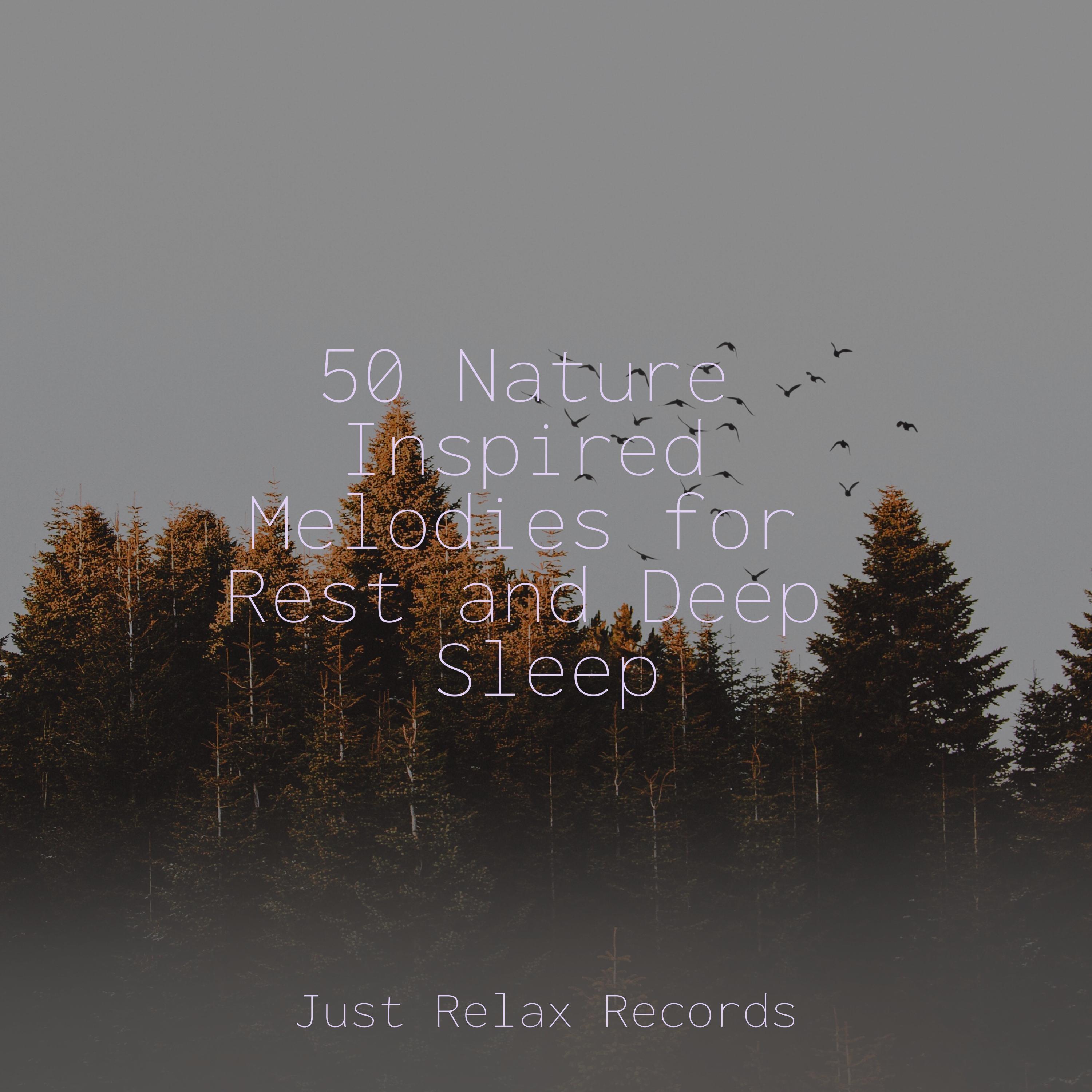 50 Nature Inspired Melodies for Rest and Deep Sleep - Musica Romantica ...