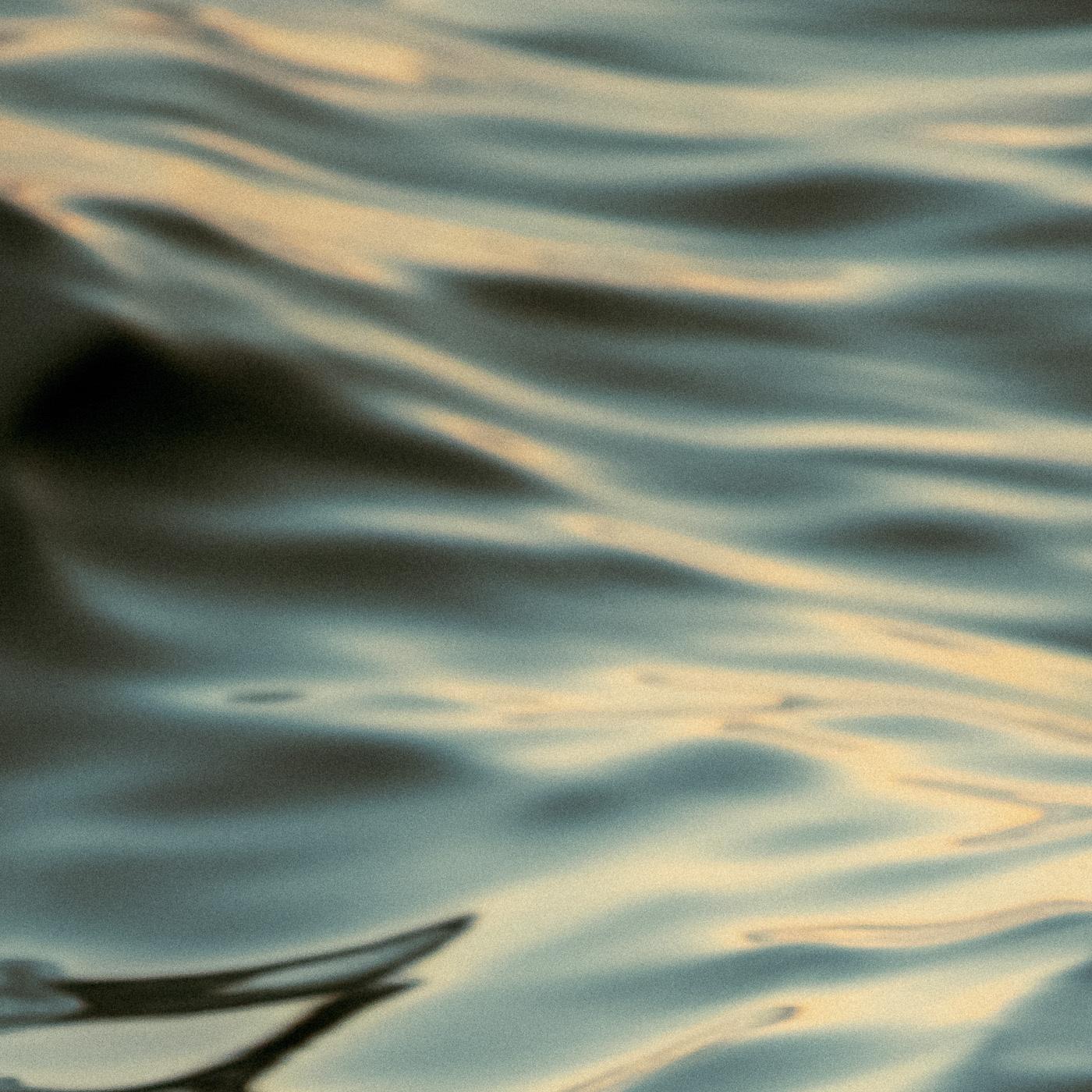 Whistles Of The Wind - Nature Sound Collection/Sleep Sound Library ...