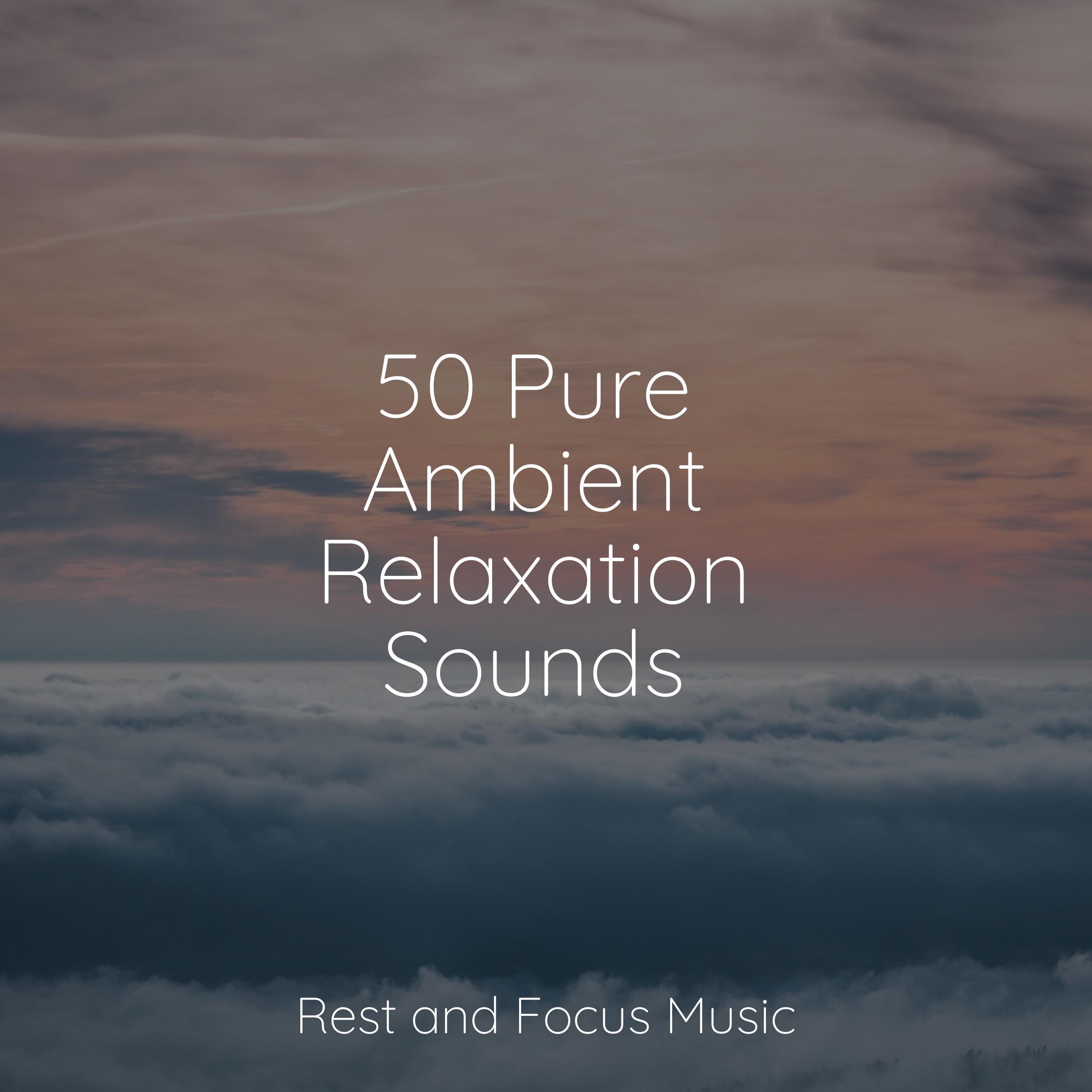 50 Pure Ambient Relaxation Sounds - Musique Zen Garden - 专辑 - 网易云音乐