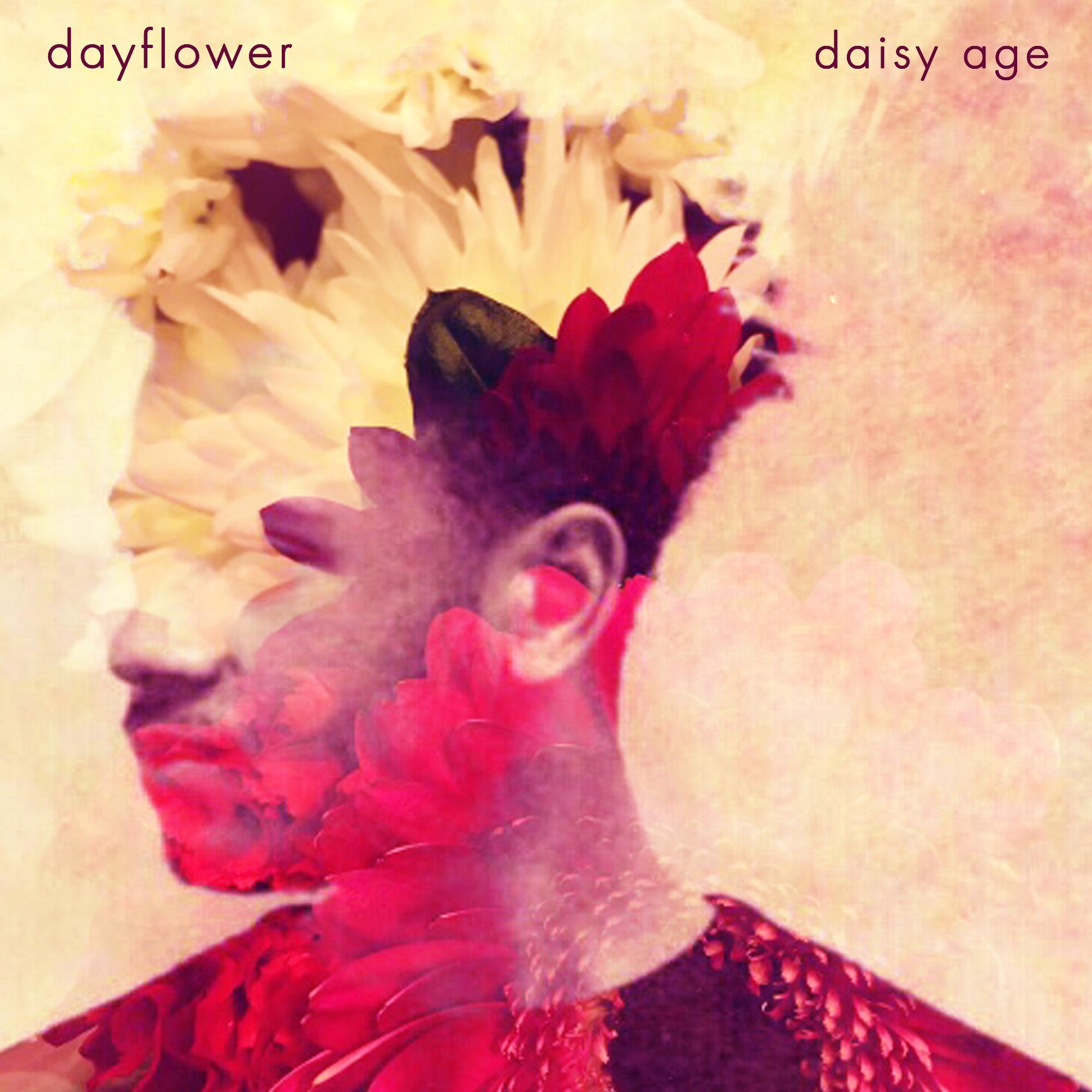 Daisy Age - Dayflower - 专辑 - 网易云音乐