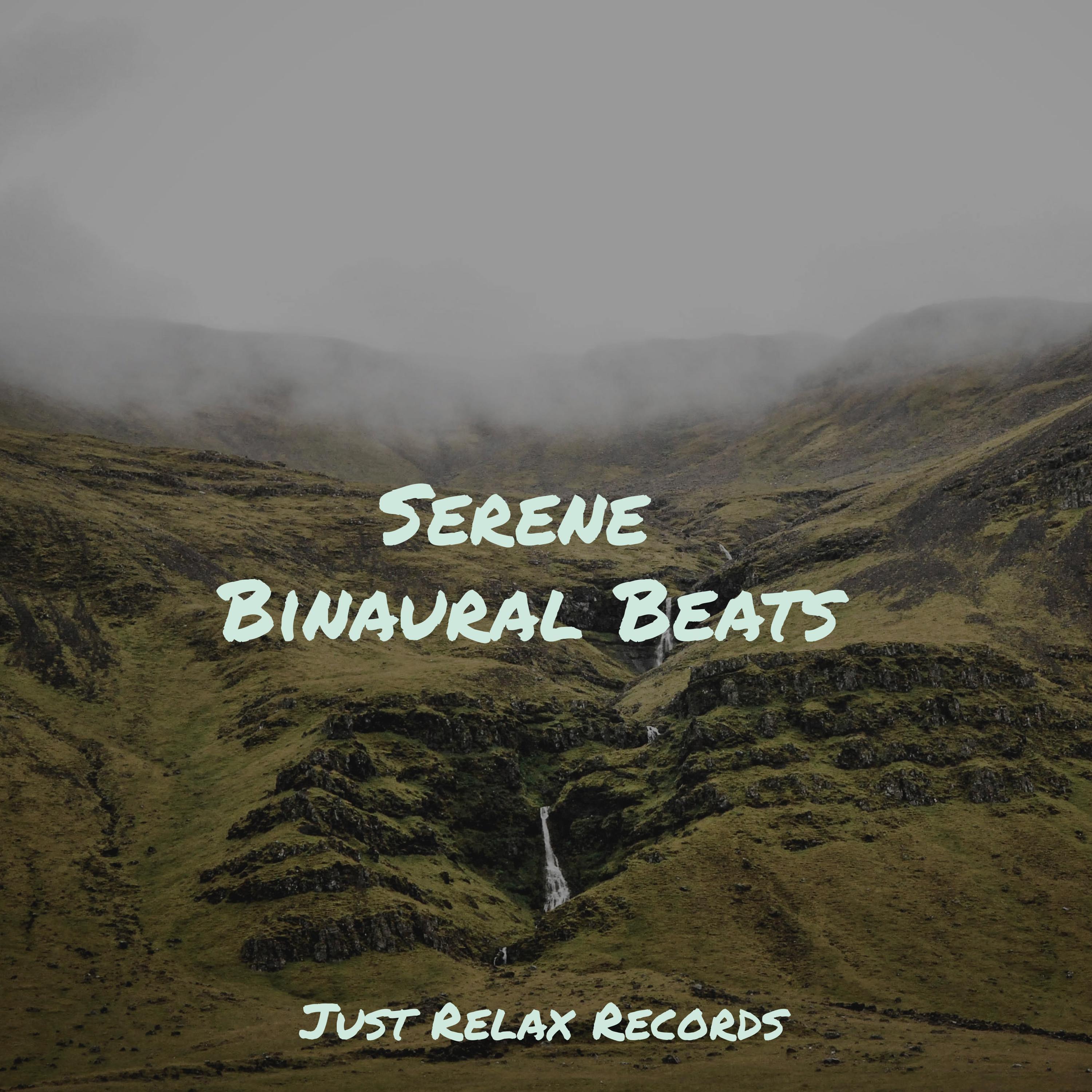 Serene Binaural Beats - Relajacion Del Mar - 专辑 - 网易云音乐