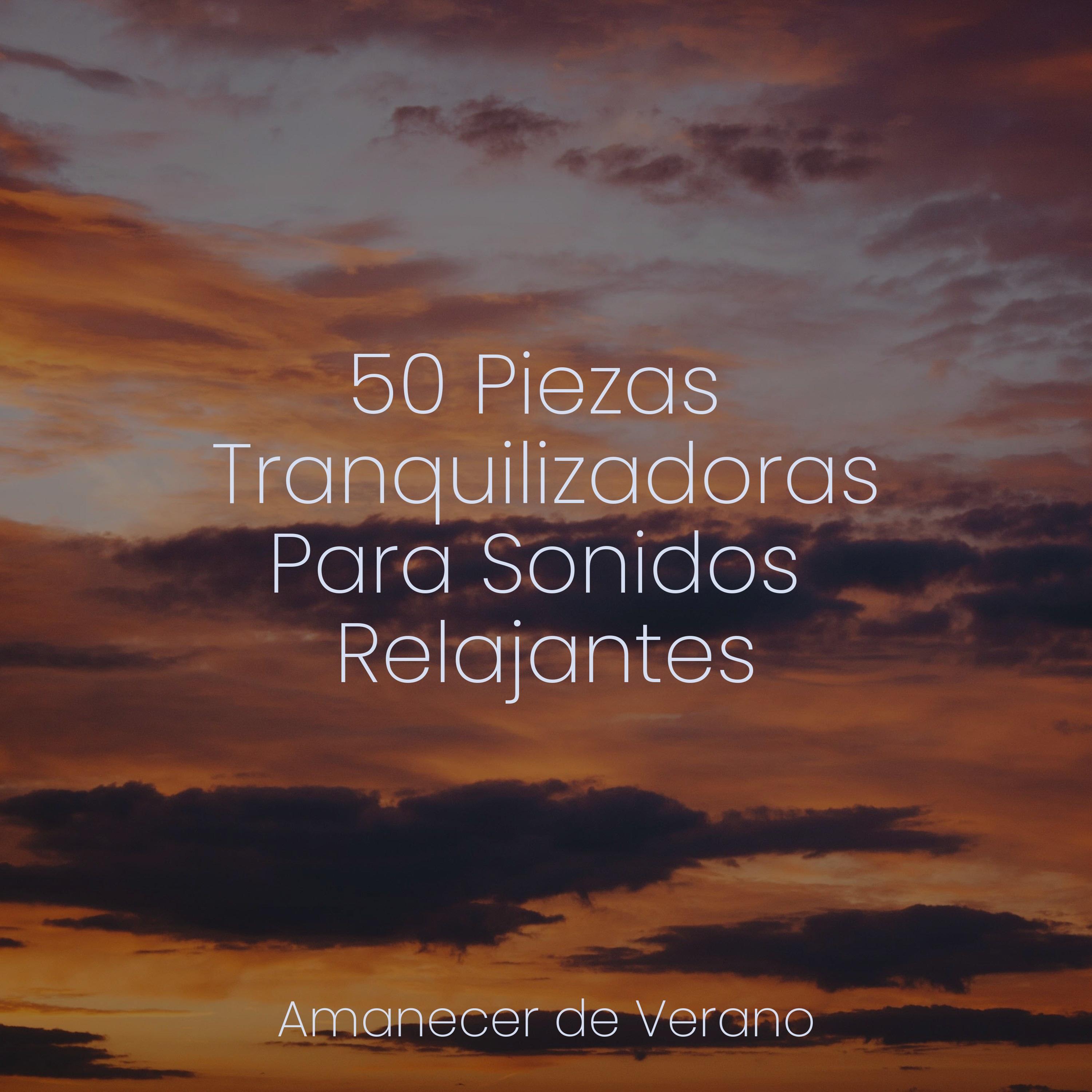 Los susurros ocultos del velo brumoso - Música para Relajarse ...