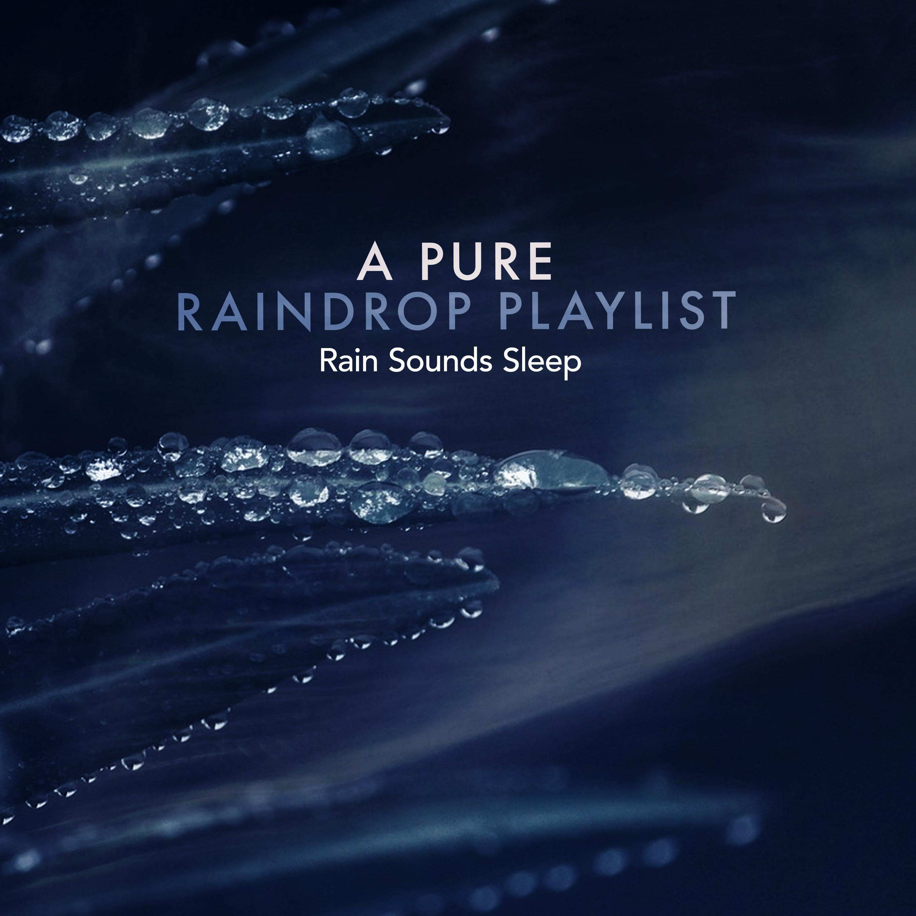 A Pure Raindrop Playlist - Rain Sounds Sleep - 专辑 - 网易云音乐
