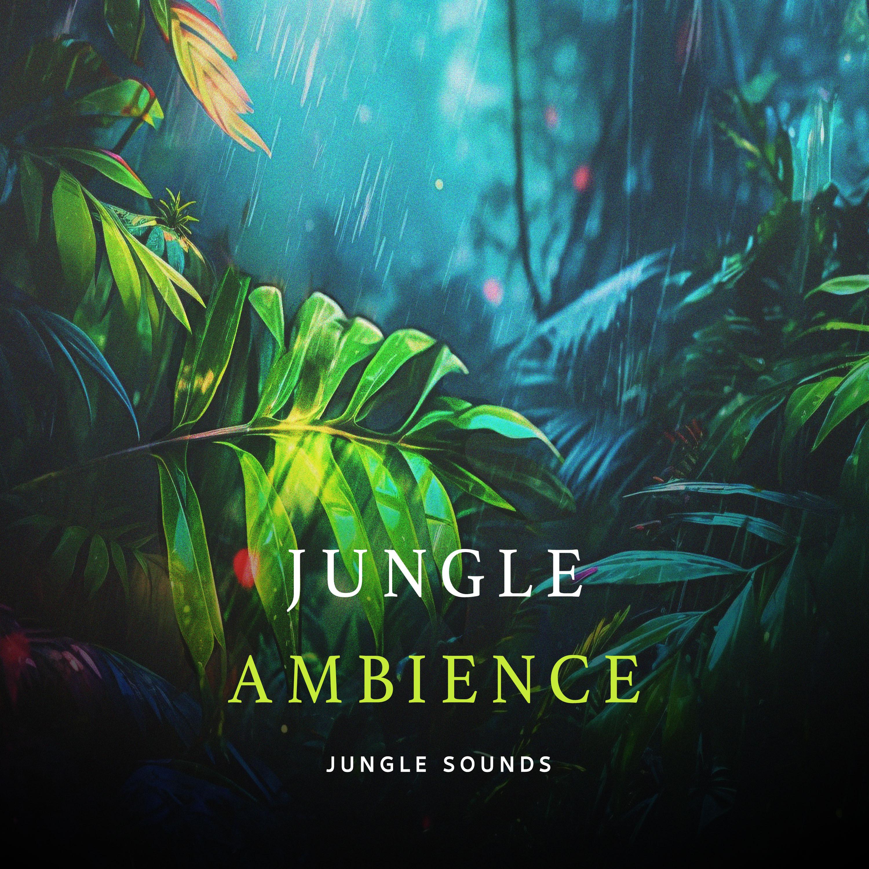 Textures Aquatic - Jungle Sounds - 单曲 - 网易云音乐