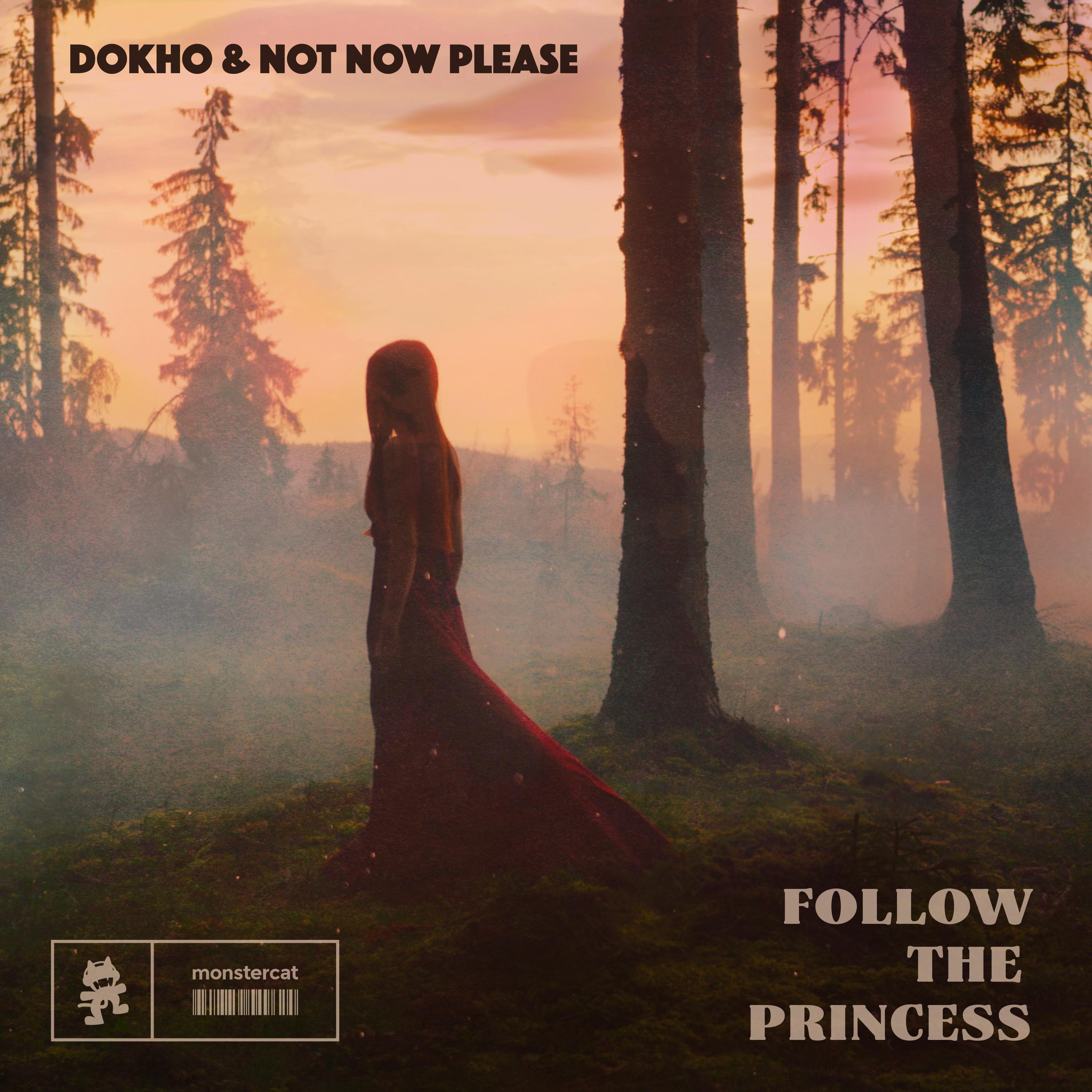 Follow The Princess - Dokho/Not Now Please - 单曲 - 网易云音乐