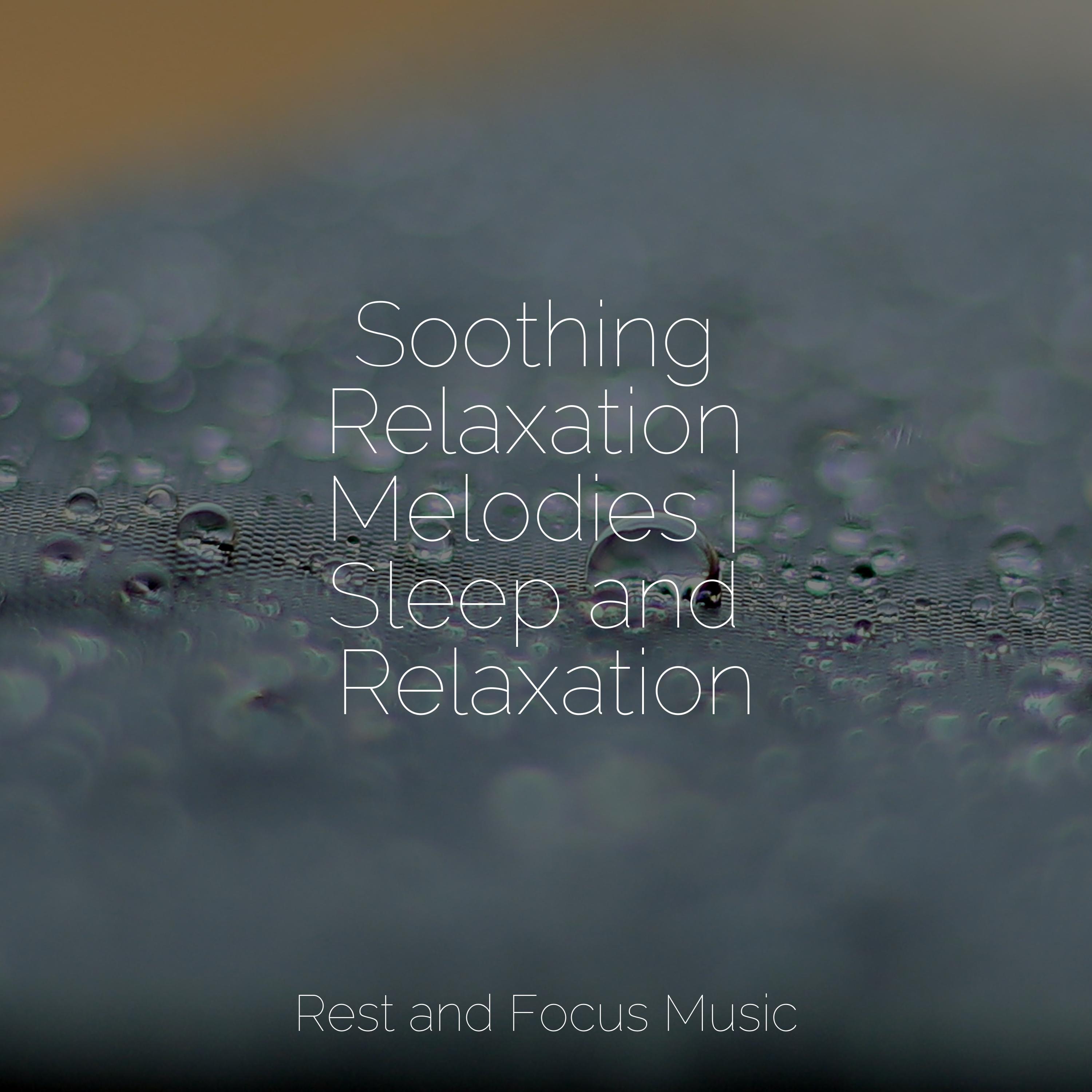 Soothing Relaxation Melodies | Sleep and Relaxation - Spa Music ...
