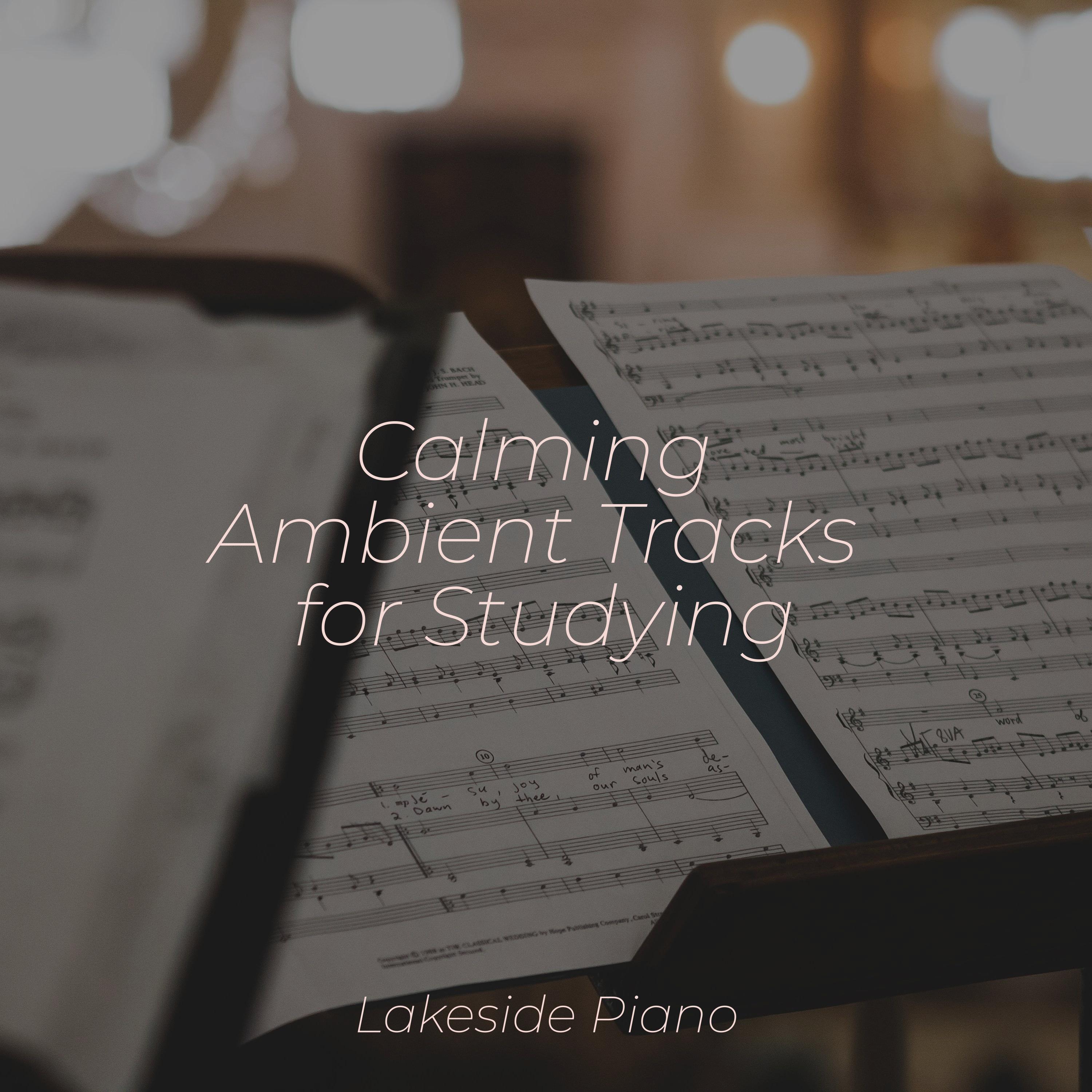 Calming Ambient Tracks for Studying - Deep Sleep Meditation - 专辑 - 网易云音乐