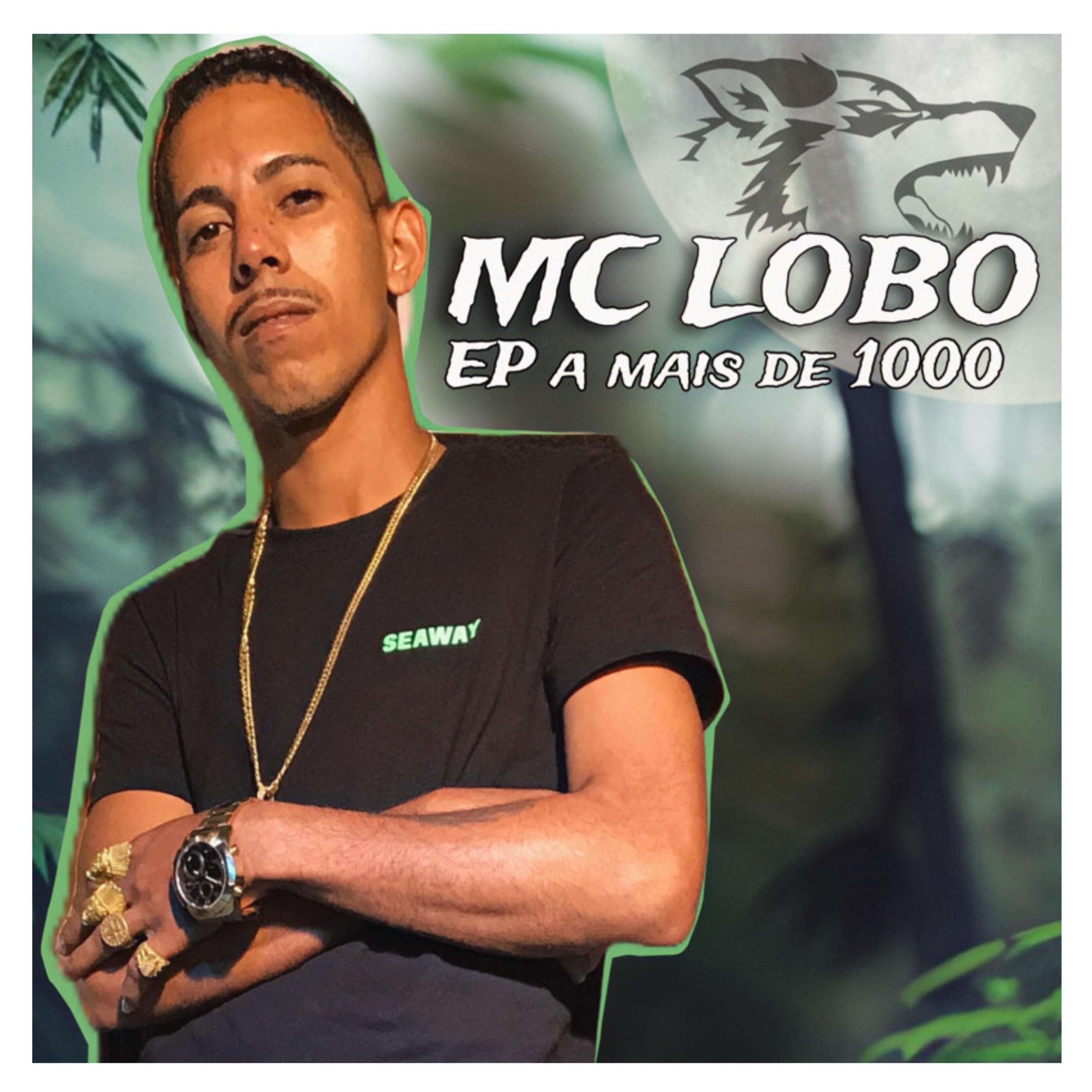 DENTRO DA NAVE - Mc Lobo Do Recife - 单曲 - 网易云音乐