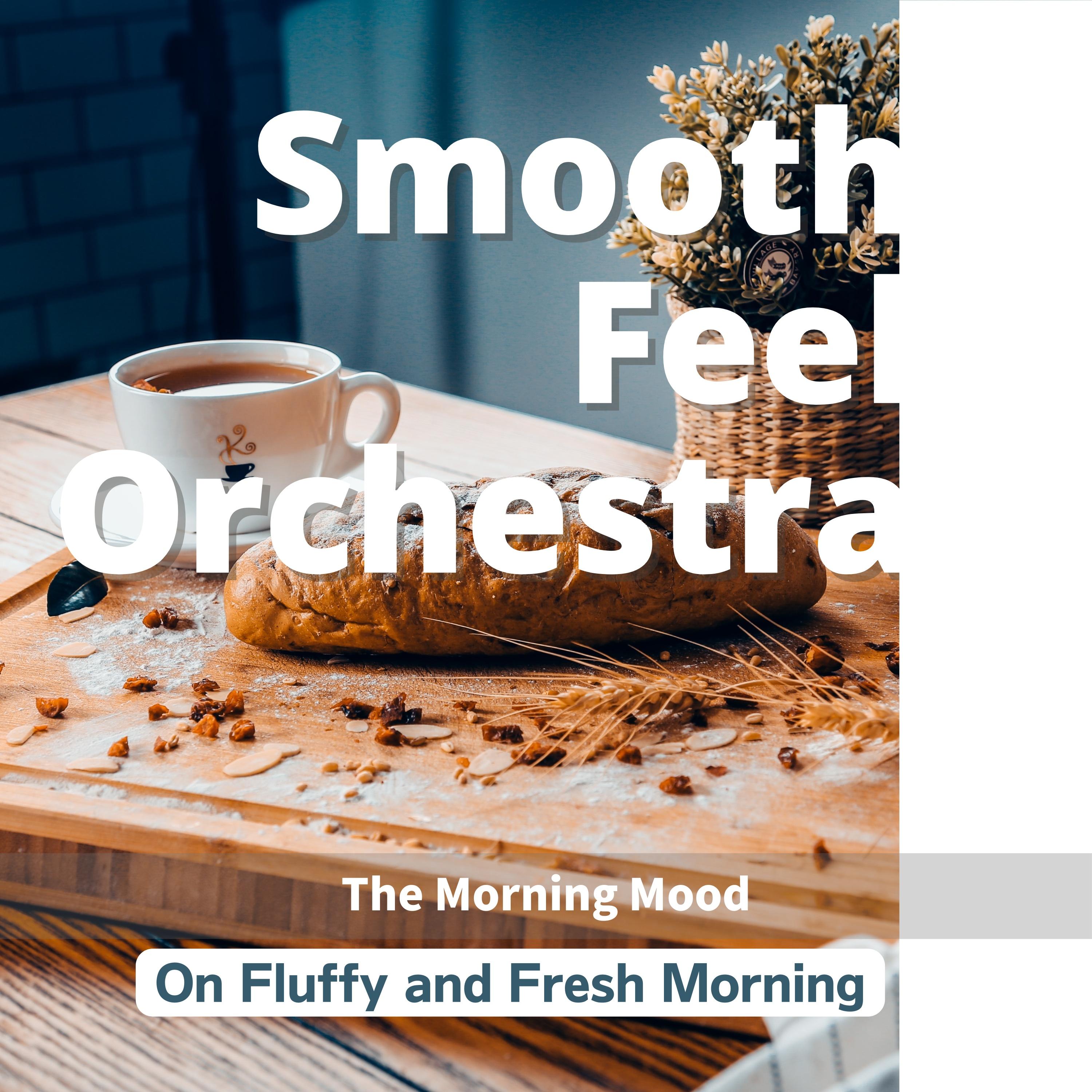 Hushed Harmony at Dawn - Smooth Feel Orchestra - 单曲 - 网易云音乐